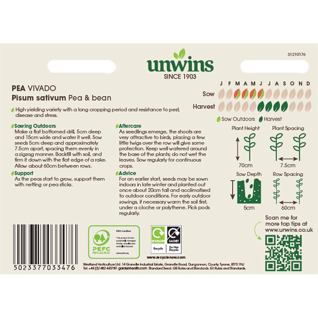 Pea Seeds 'Vivado' | Marshalls Garden