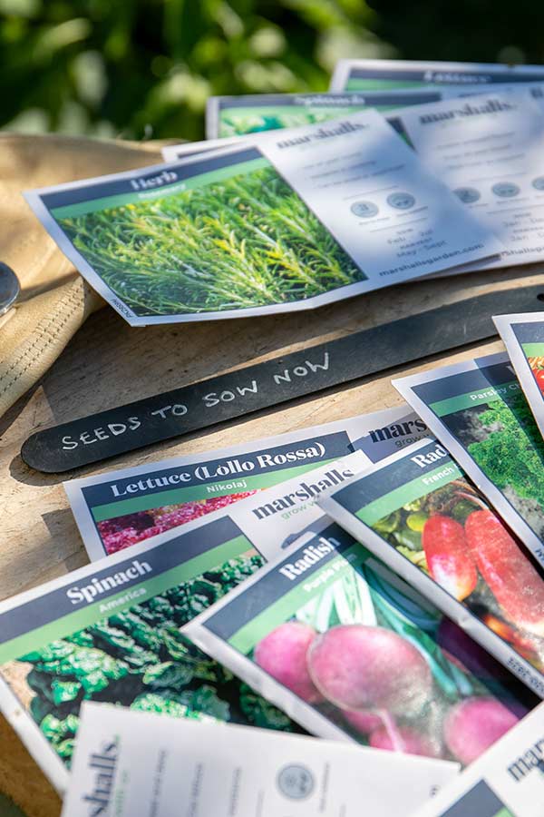 Weed Control 101: Comprehensive Strategies for Effective Weed ...