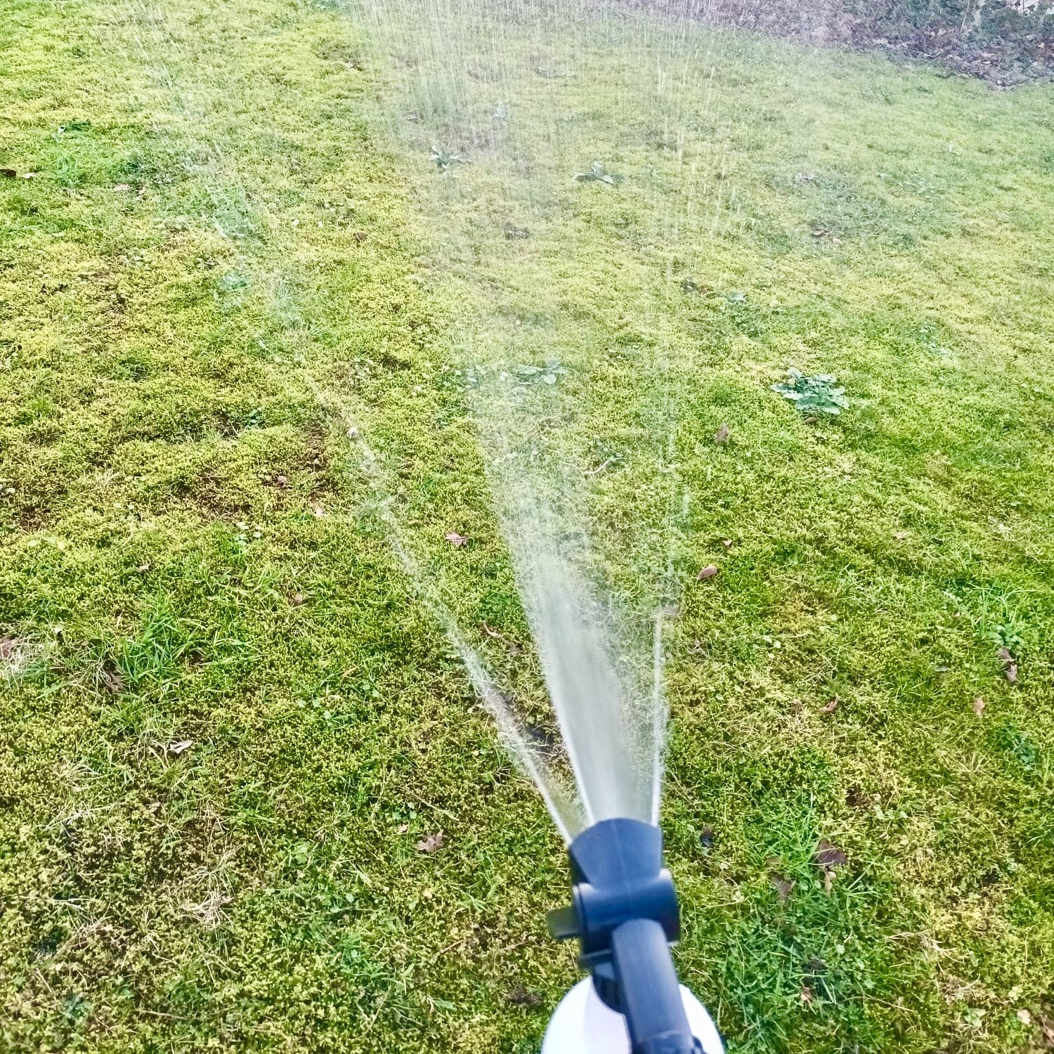 Dragonfli Nema Super Sprayer Nematode Applicator | Buy Pest Control ...
