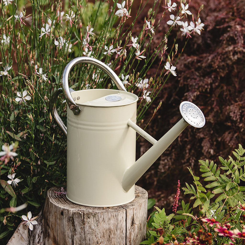 Kent & Stowe Vintage Cream Metal Watering Can - 9 Ltr | Marshalls Garden
