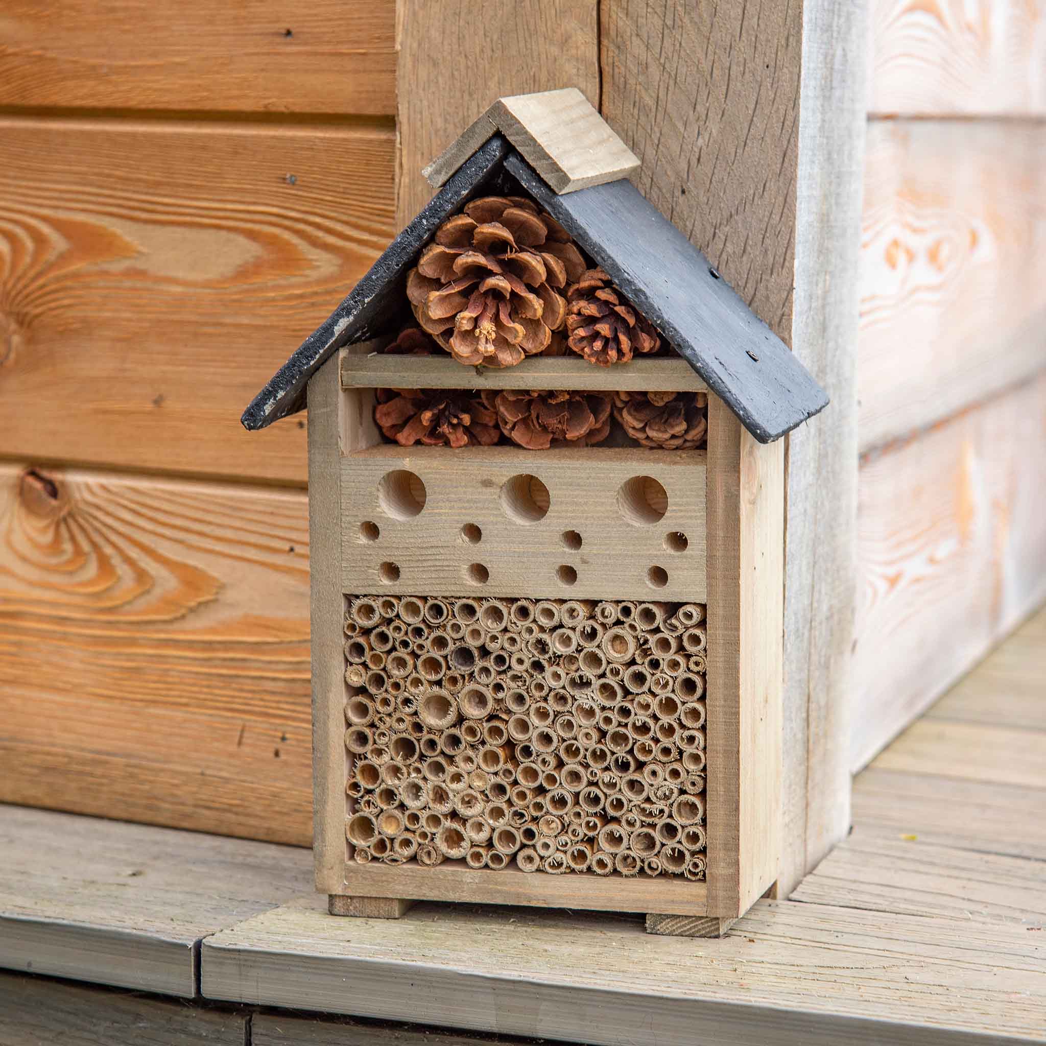 Gardman Bee & Bug House | Marshalls Garden