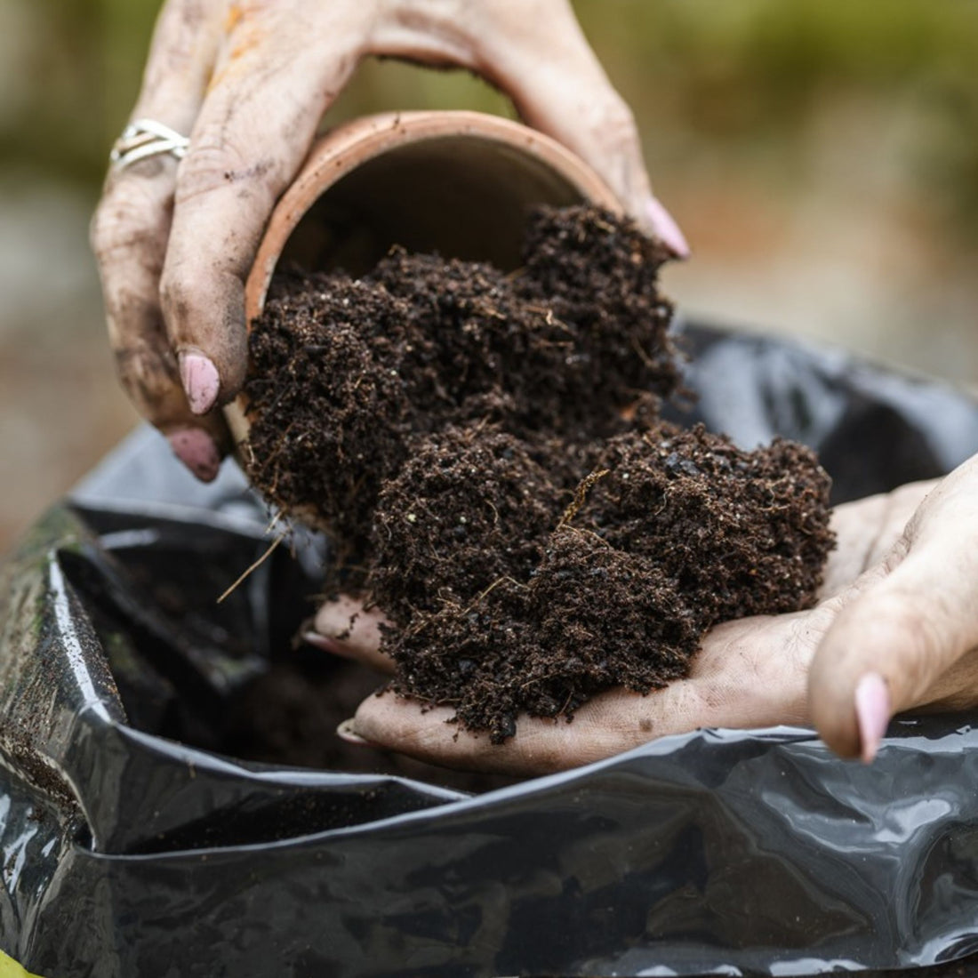 Carbon Gold Biochar Seed Compost | Marshalls Garden