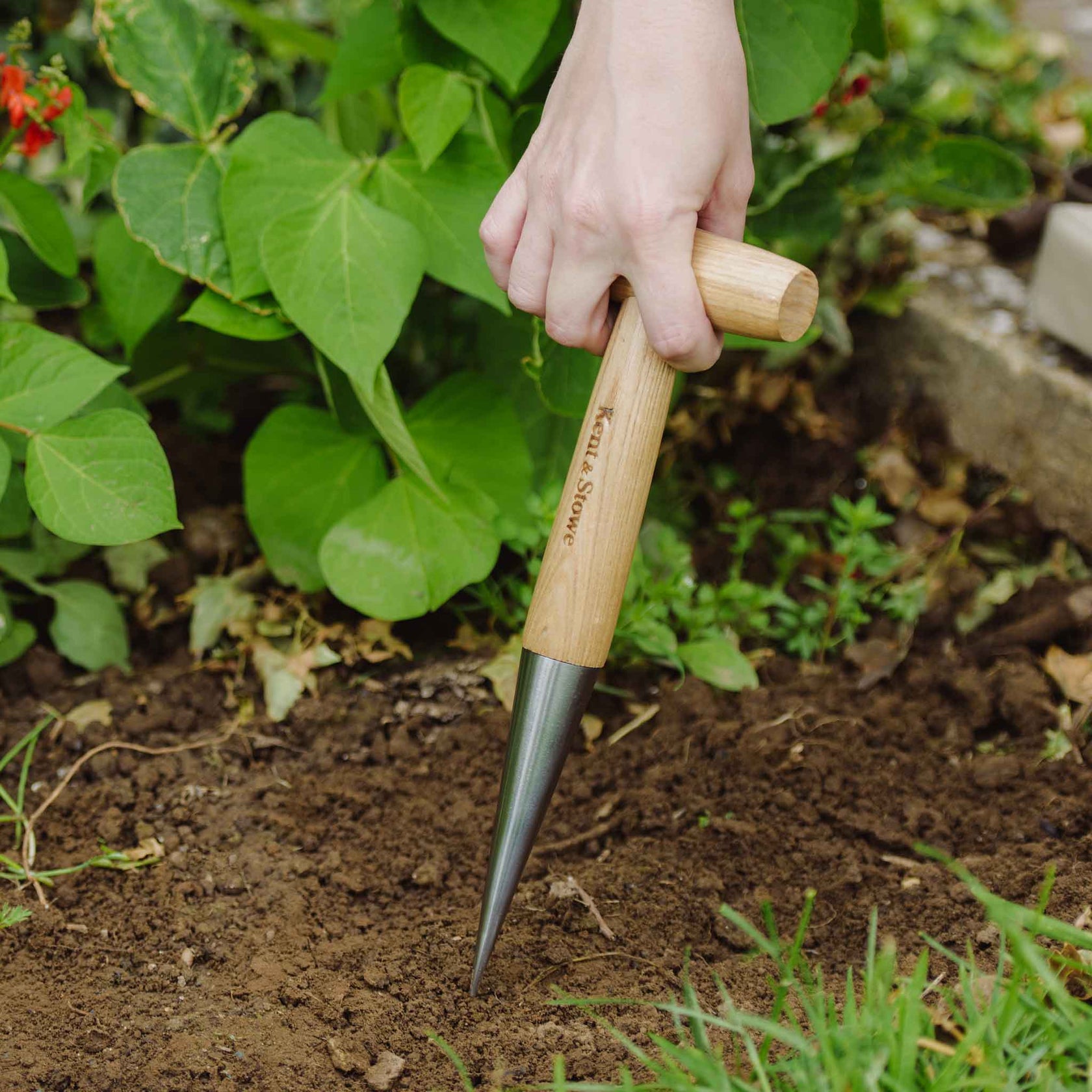 Kent & Stowe Stainless Steel Dibber | Marshalls Garden