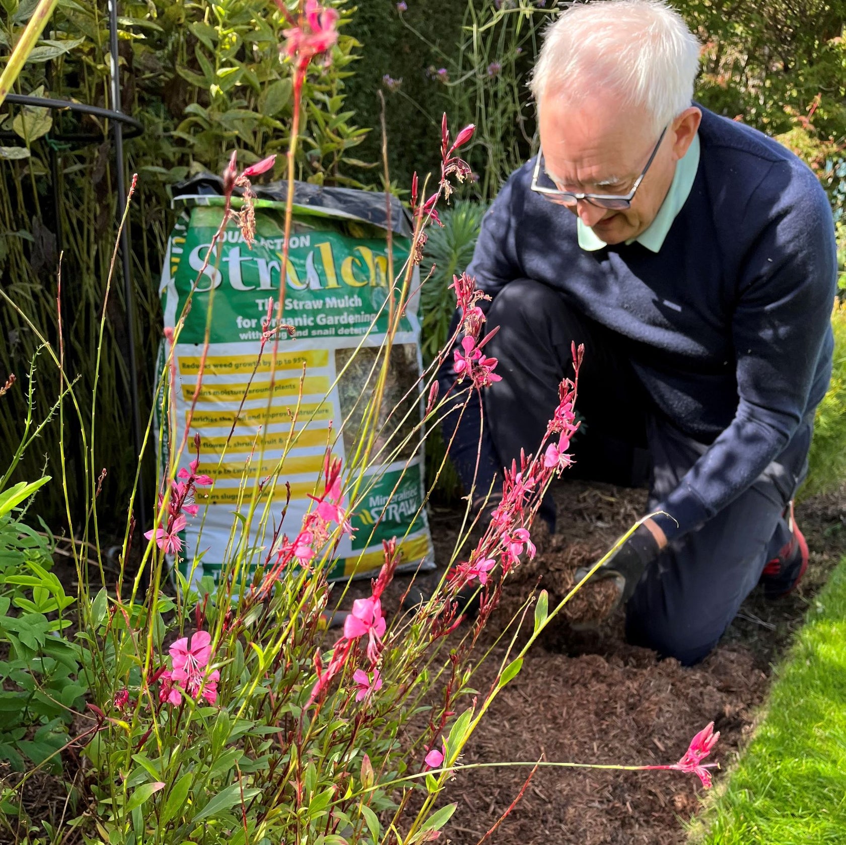 Strulch Organic Wheat Straw Mulch | Marshalls Garden