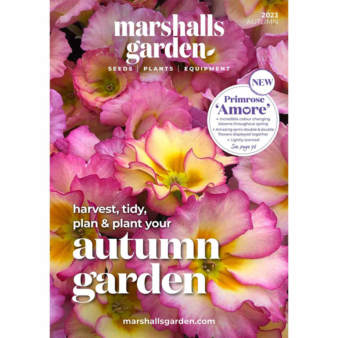 Marshalls Garden: Buy Plants, Seeds, Vegetables & Garden Equipment
