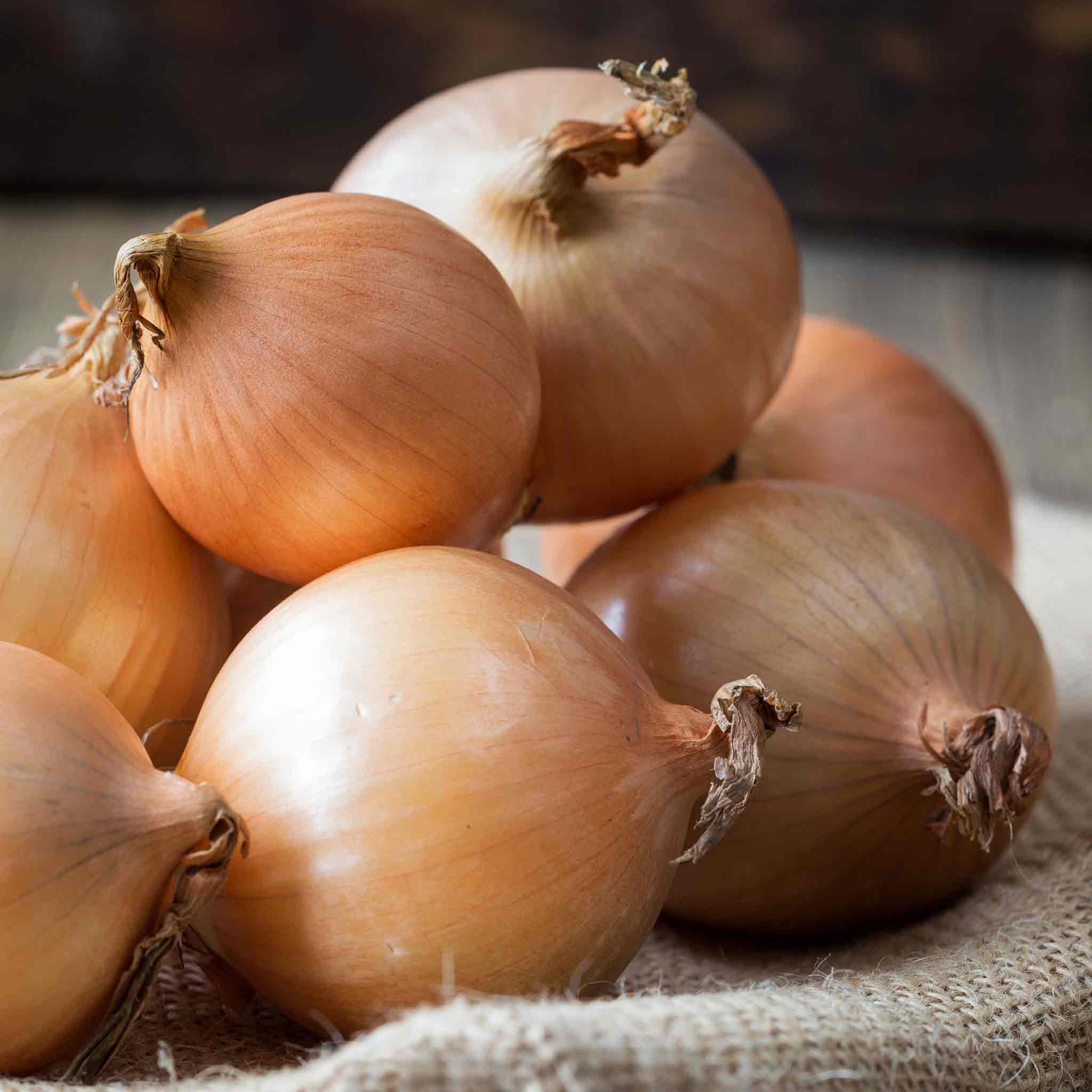 Onion Sets 'Radar' | Marshalls Garden