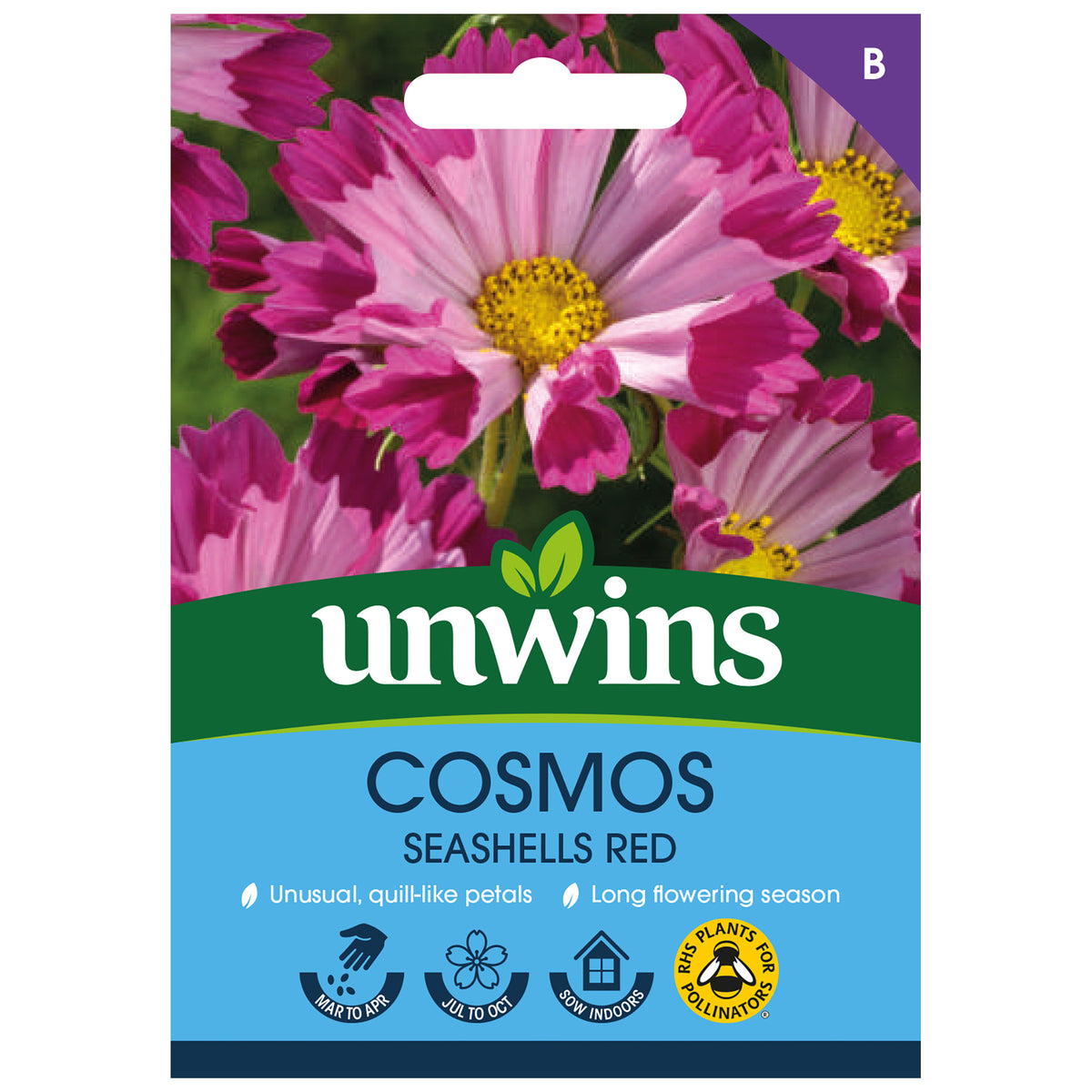Cosmos Seeds 'Seashells Red' | Buy Cosmos Seeds Online | Cosmos Seeds ...