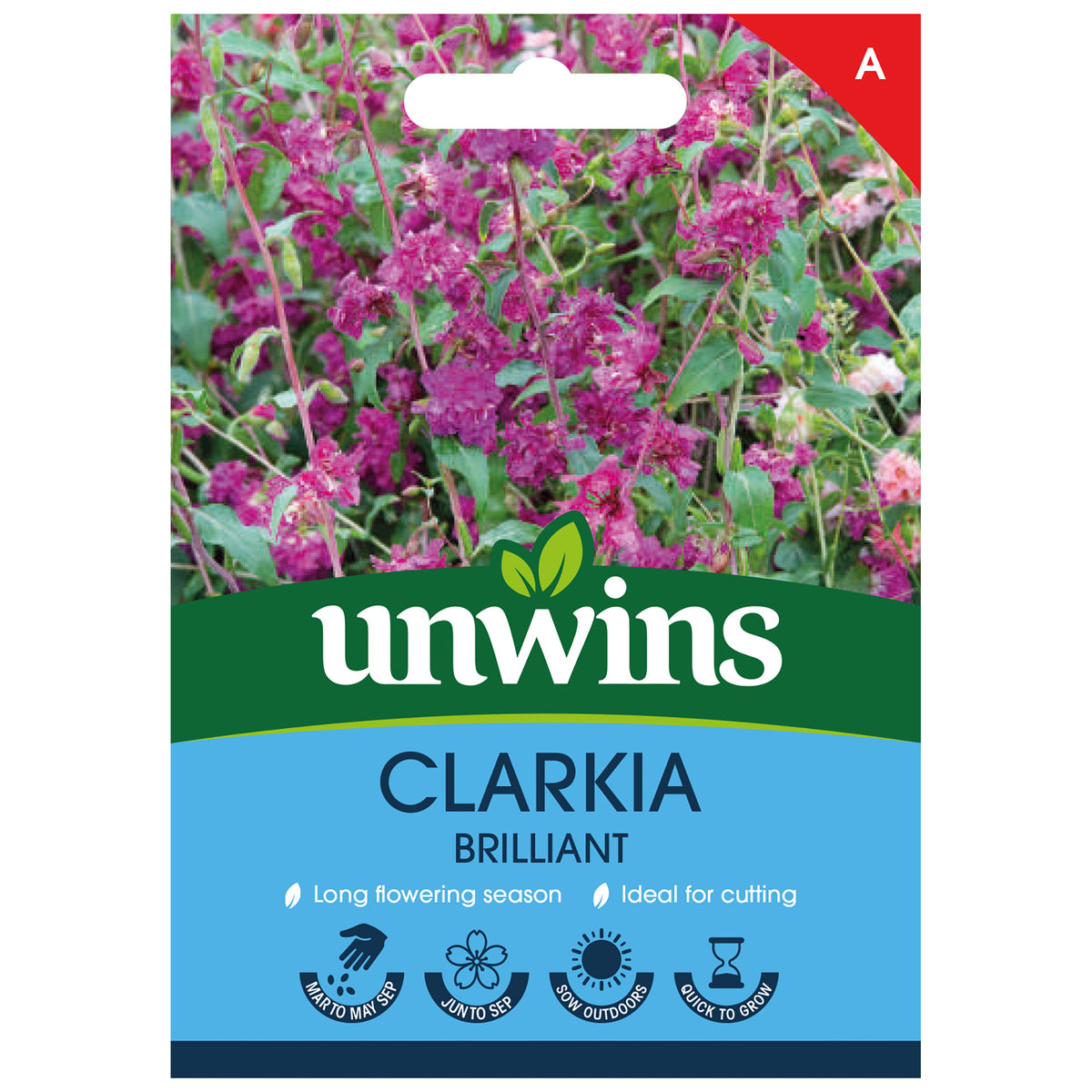 Clarkia Seeds 'Brilliant' | Buy Clarkia Seeds Online | Clarkia Seeds ...