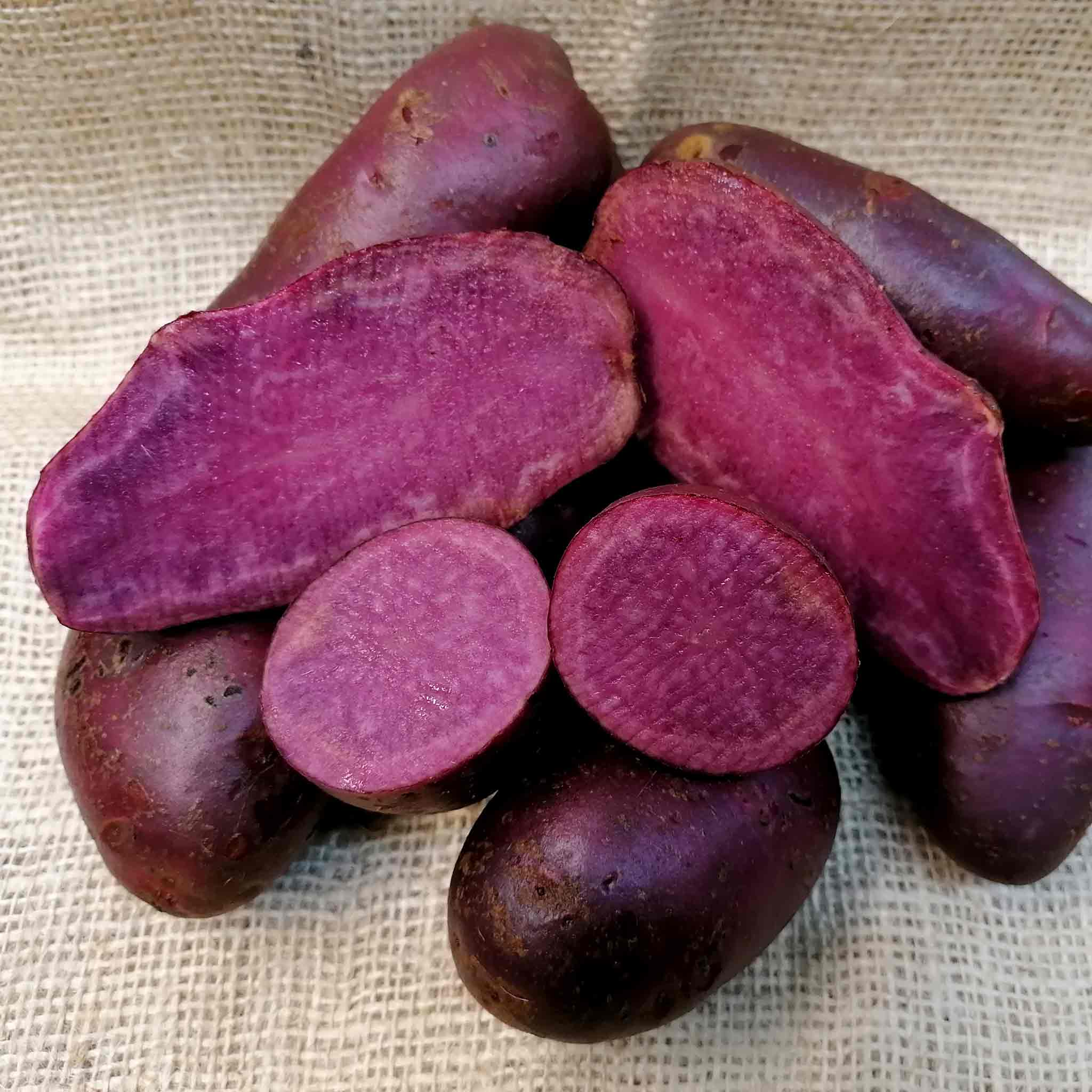 Seed Potato 'Heidi Red' | Marshalls Garden