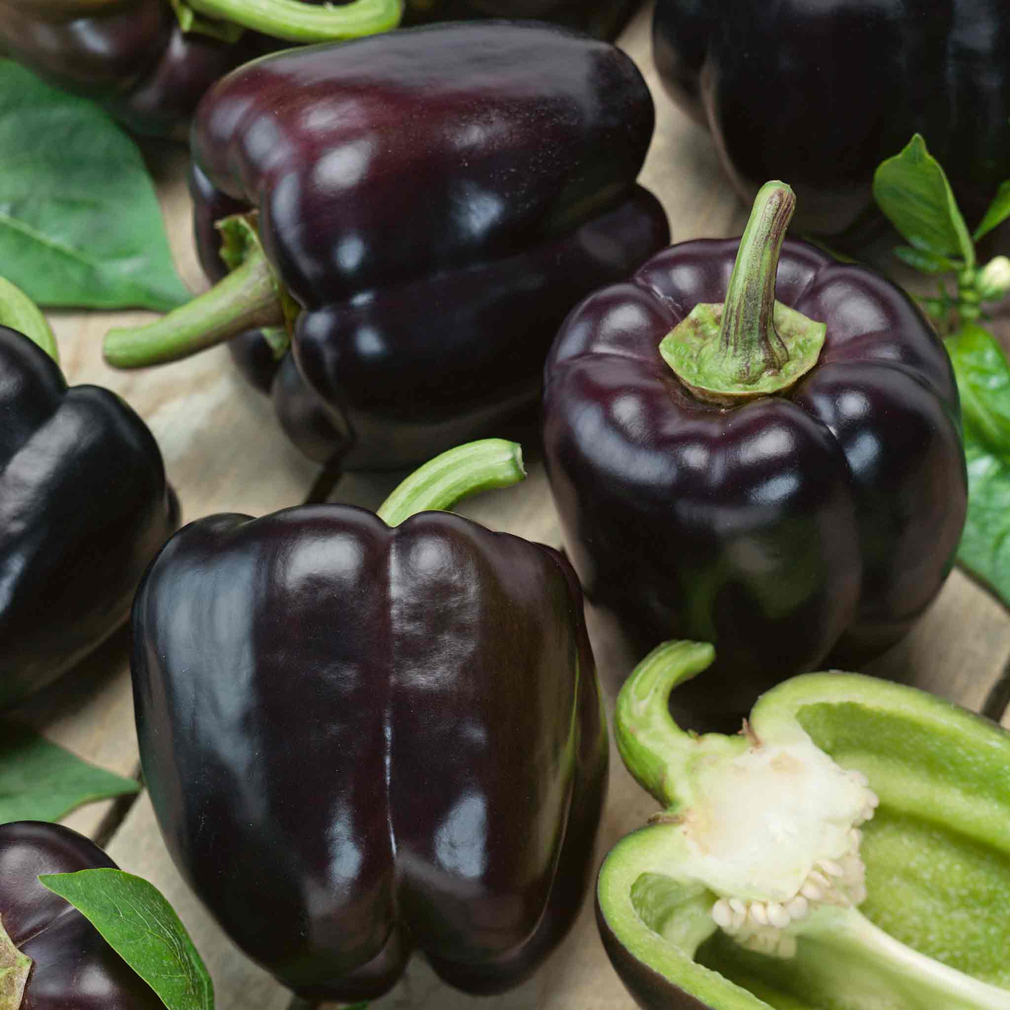 Pepper Seeds 'Sweet Cardinal' F1 | Marshalls Garden
