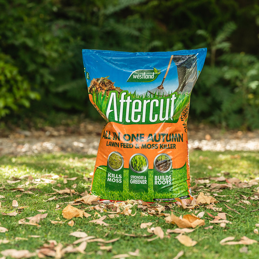 Aftercut All in One Autumn Lawn Feed and Moss Killer | Marshalls Garden