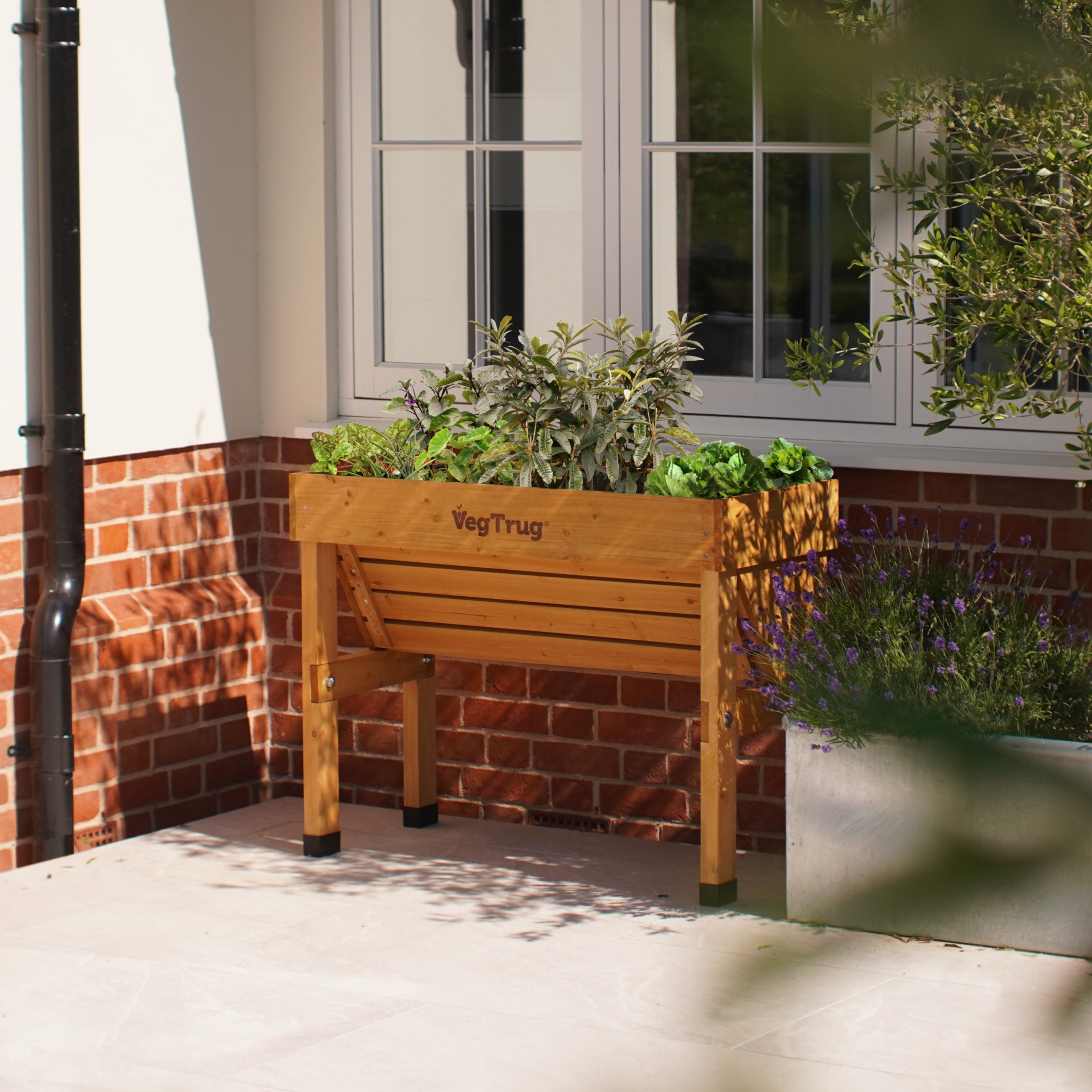 VegTrug Wall Hugger Small Wooden Patio Planter | Marshalls Garden