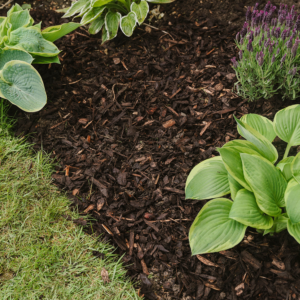 Buy Decorative Mini Bark Full Pallet Online | marshalls garden ...