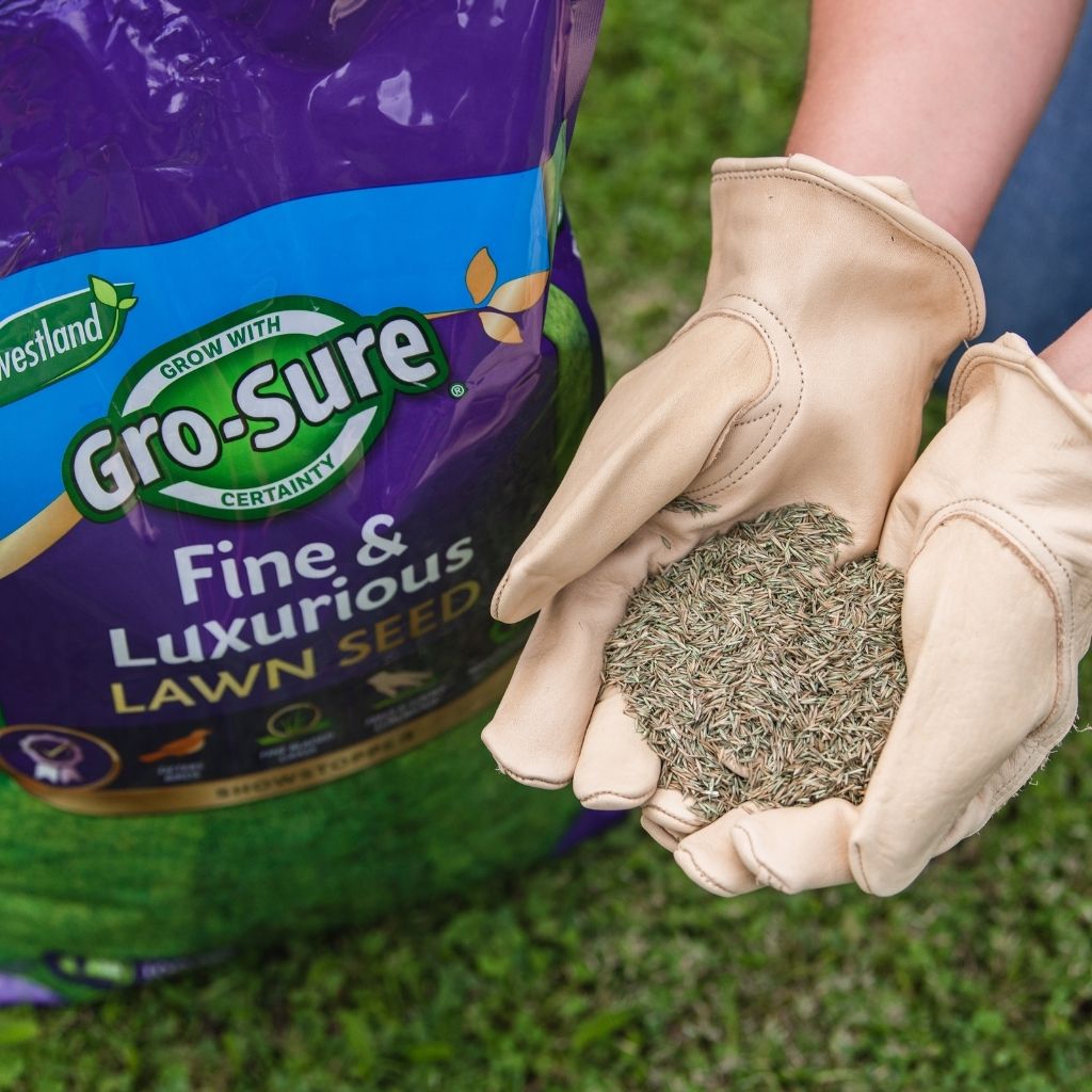 Gro-Sure Fine & Luxurious Lawn Seed | Marshalls Garden