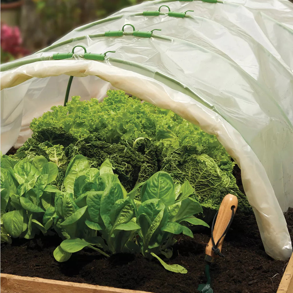 Grow it Poly Sheet Roll in Clear 100m x 2m | Marshalls Garden