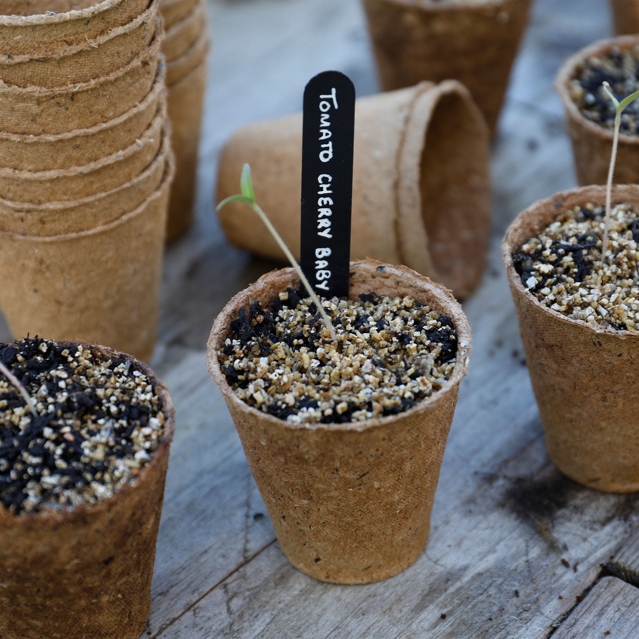 Peat Free Pots 6cm x 96 pcs | Marshalls Garden