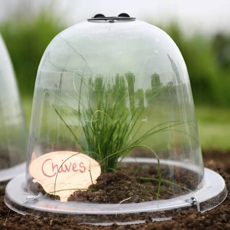 Original Victorian Bell Cloche | Marshalls Garden