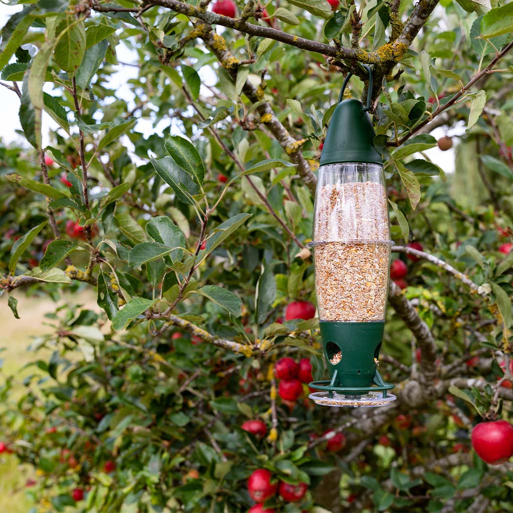 Peckish 3 Port Seed Feeder | Marshalls Garden