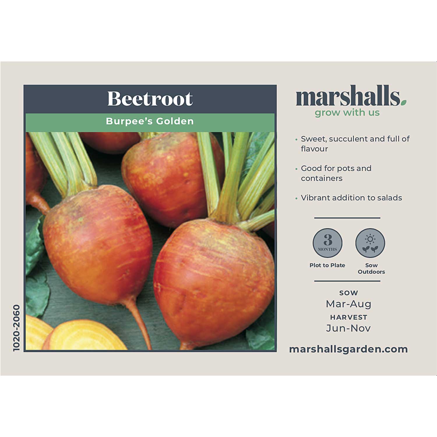 Beetroot Seeds 'Burpees Golden' | Buy Beetroot Seeds Online | Beetroot ...