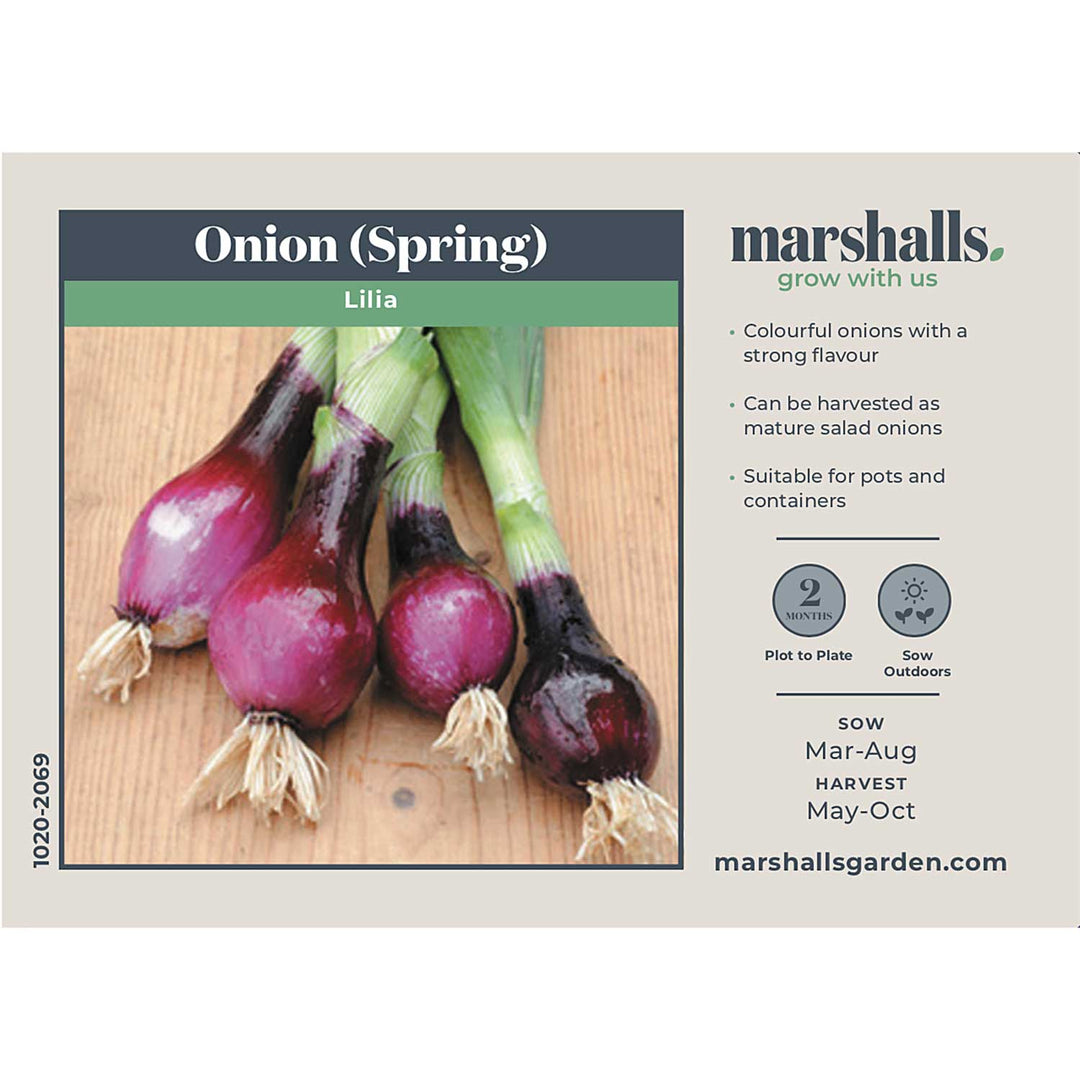 Spring Onion Seeds 'Red Lilia' | Buy Spring Onion Seeds Online | Spring ...