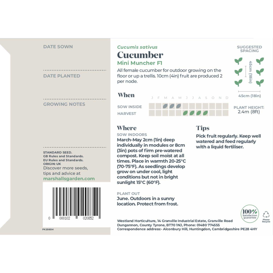 Cucumber Seeds 'Mini Muncher' F1 | Buy Cucumber Seeds Online | Cucumber ...
