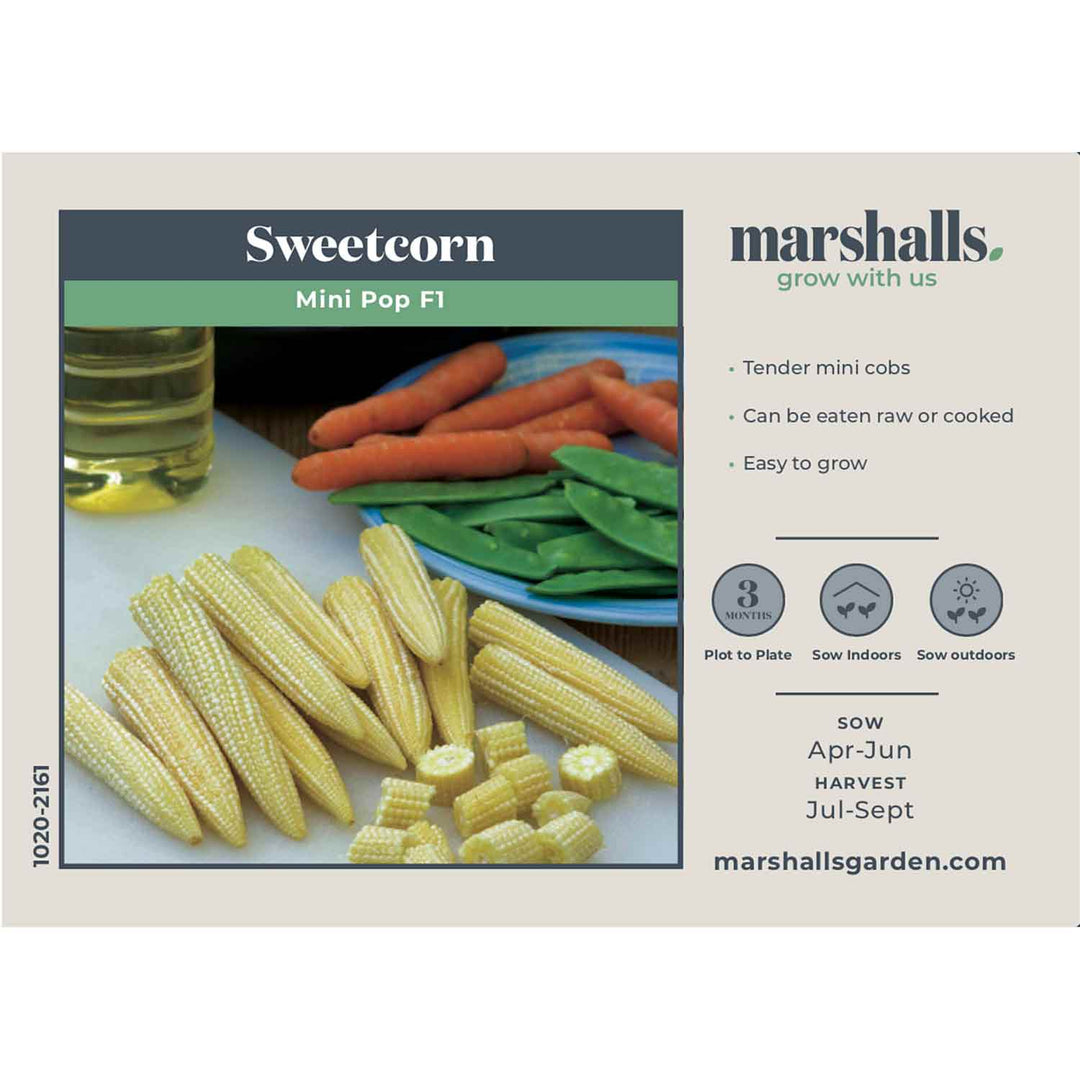 Buy Sweetcorn Mini Pop F1 Hybrid Seeds online | Marshalls – Marshalls ...
