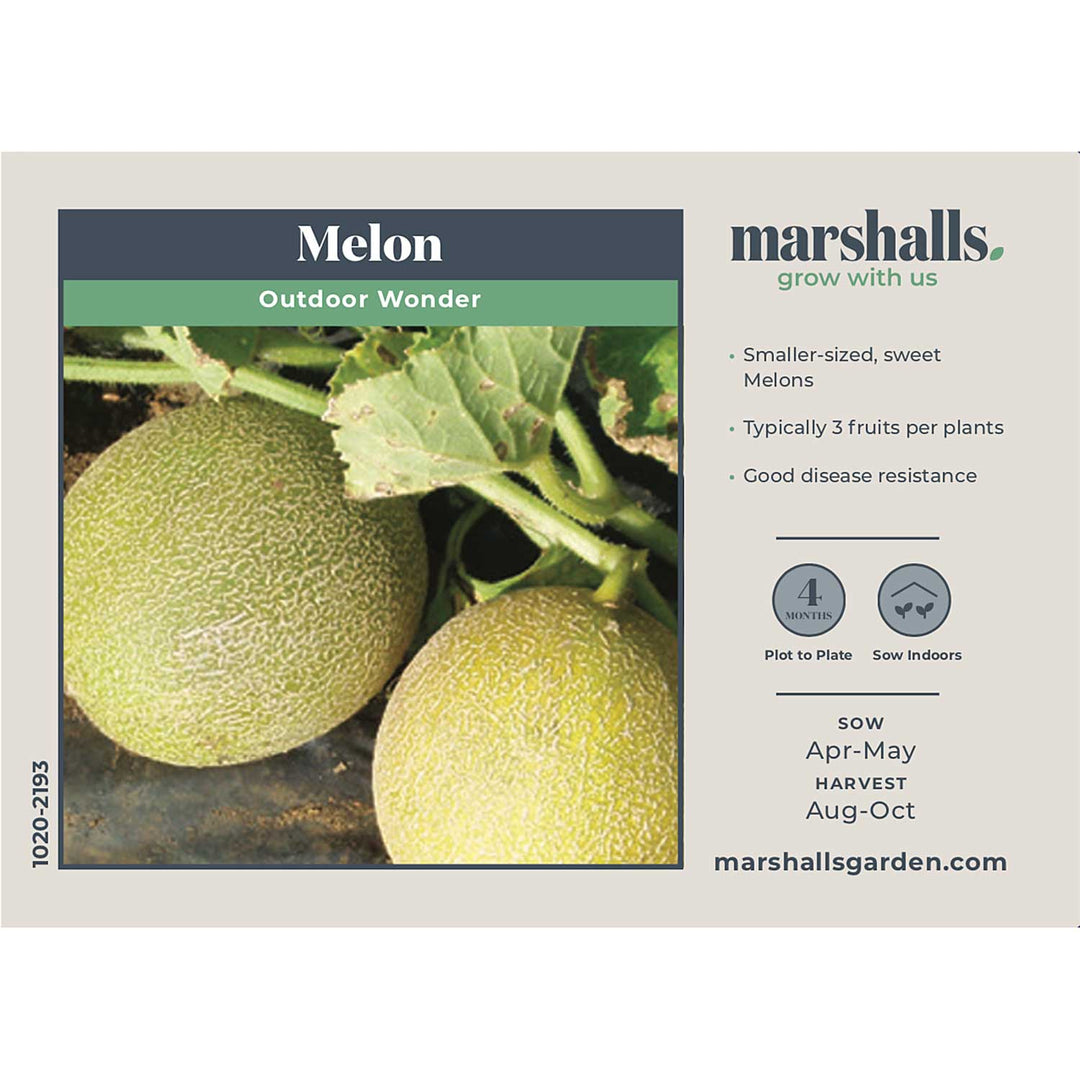 Melon Seeds 'Outdoor Wonder' | Buy Melon Seeds Online | Melon Seeds for ...
