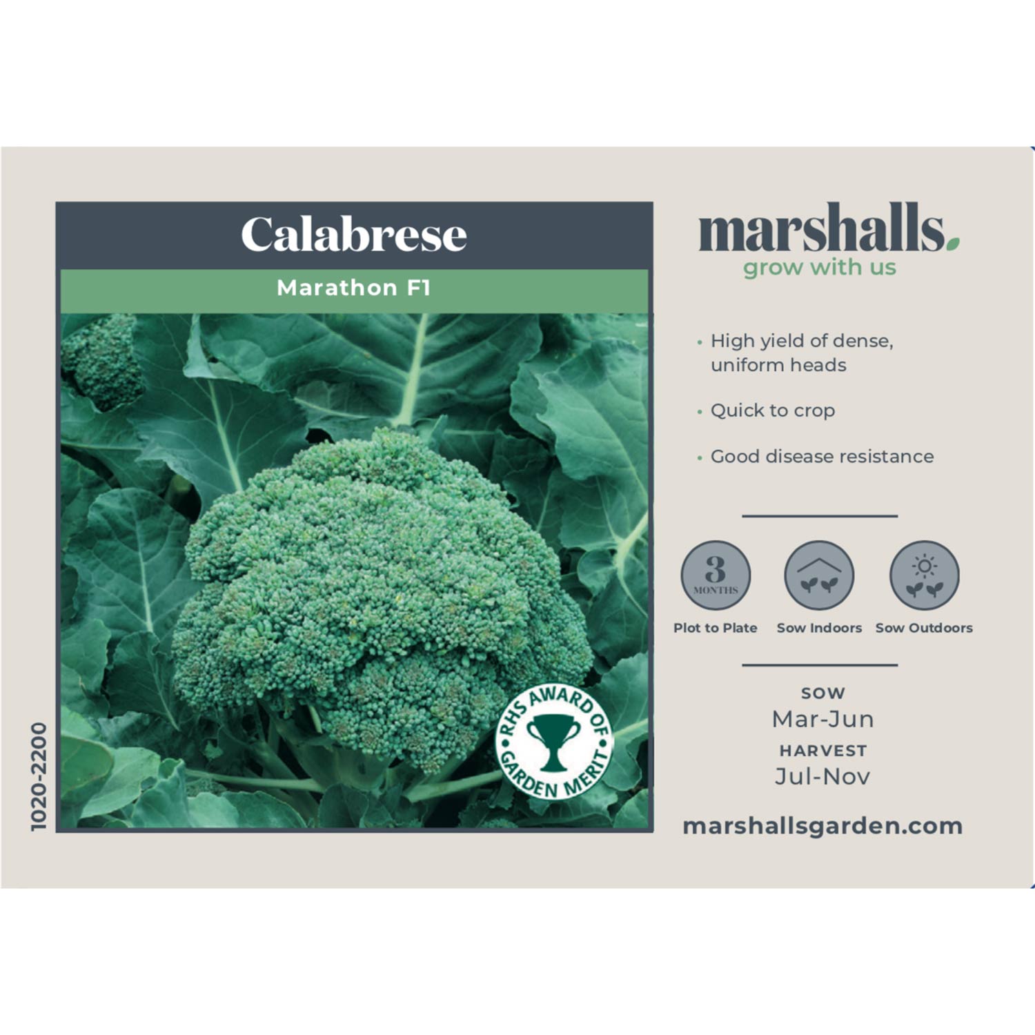 Broccoli Seeds 'Marathon' F1 | Buy Broccoli Seeds Online | Broccoli ...