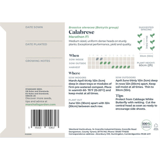 Broccoli Seeds 'Marathon' F1 | Buy Broccoli Seeds Online | Broccoli ...