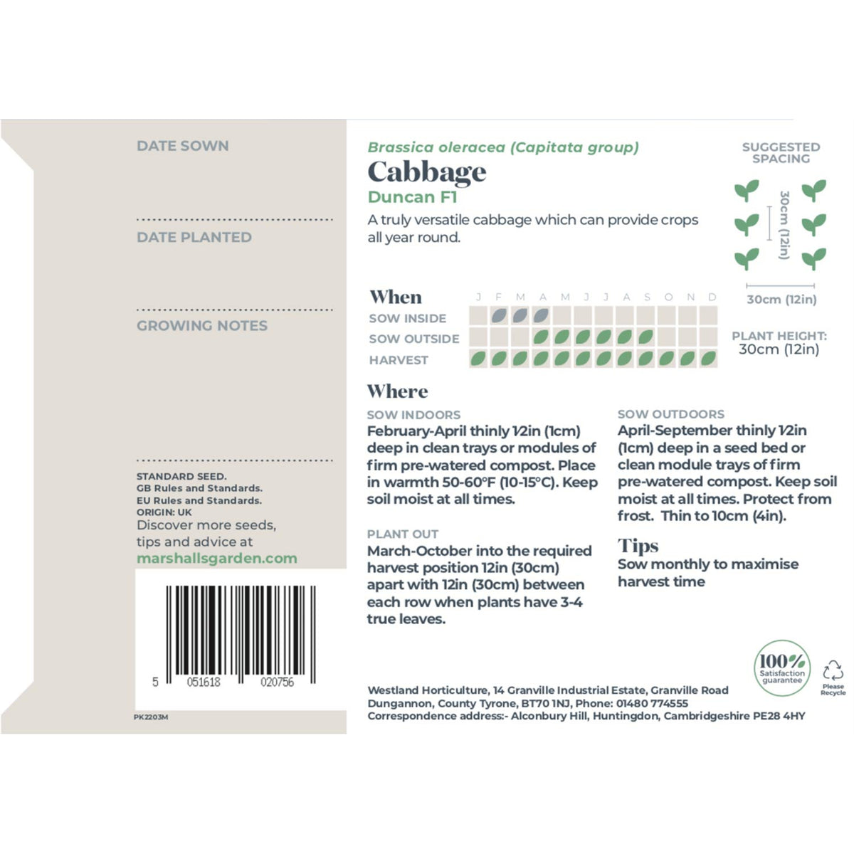 Buy Cabbage Duncan F1 Hybrid Seeds Online | marshalls garden ...