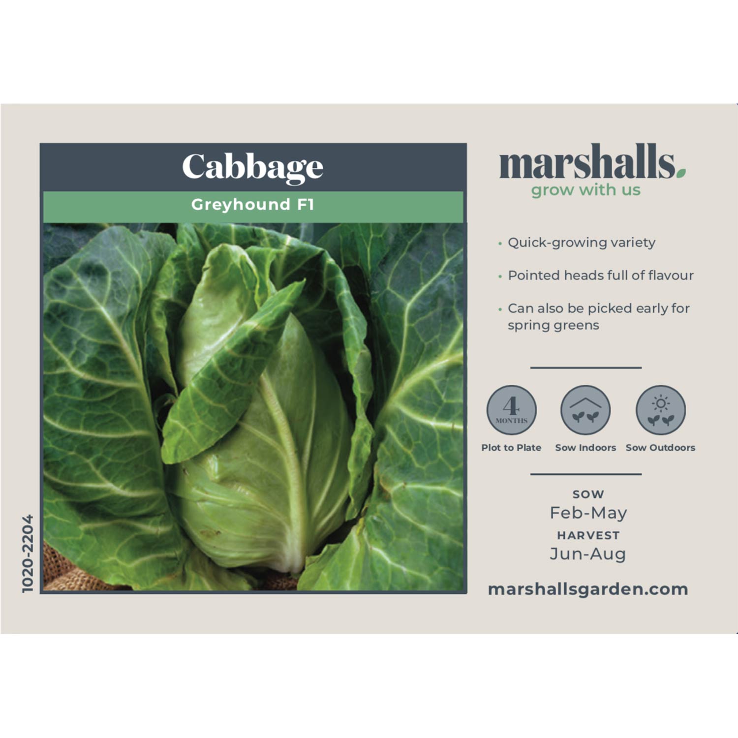 Cabbage Seeds 'Greyhound F1' | Buy Cabbage Seeds Online | Cabbage Seeds ...