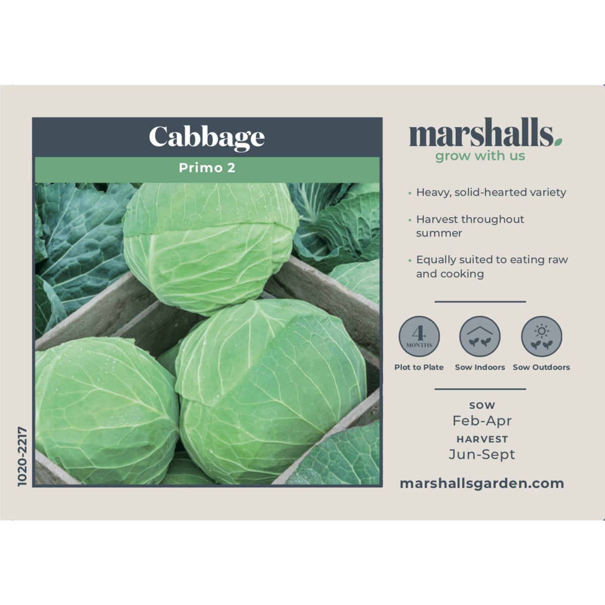 Cabbage Seeds 'Primo 2' | Buy Cabbage Seeds Online | Cabbage Seeds for ...