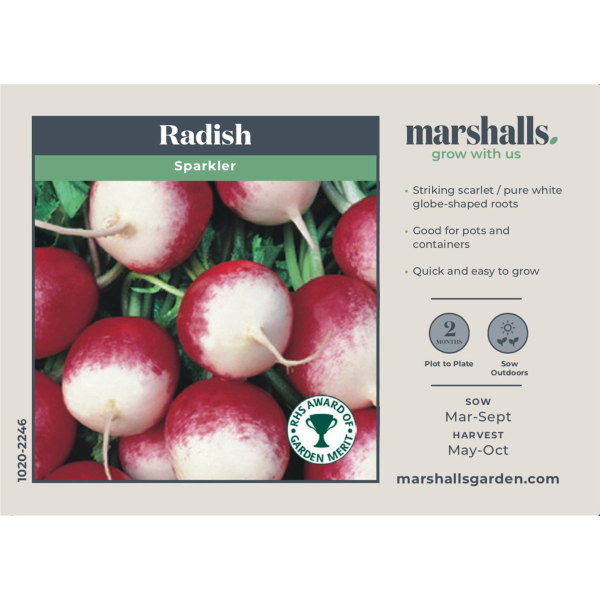 Radish Seeds 'Sparkler' | Buy Radish Seeds Online | Radish Seeds for ...