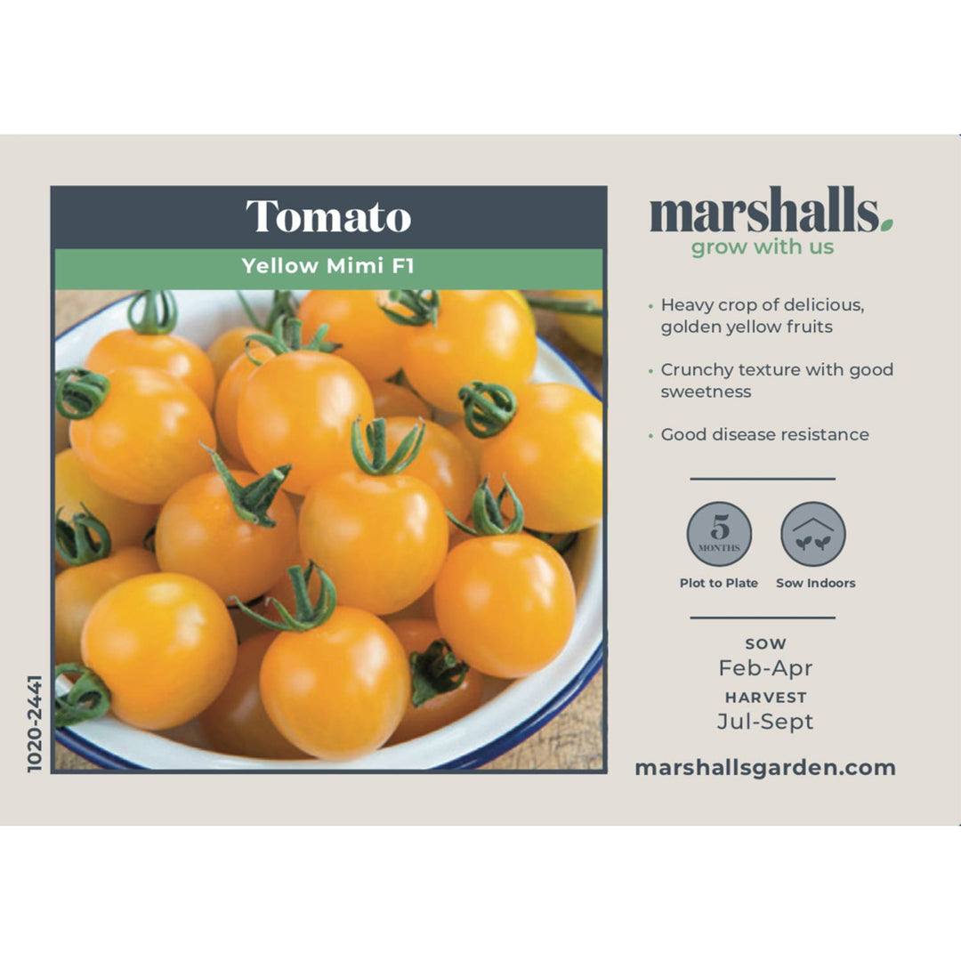 Tomato Seeds 'Yellow Mimi' F1 | Buy Tomato Seeds Online | Tomato Seeds ...