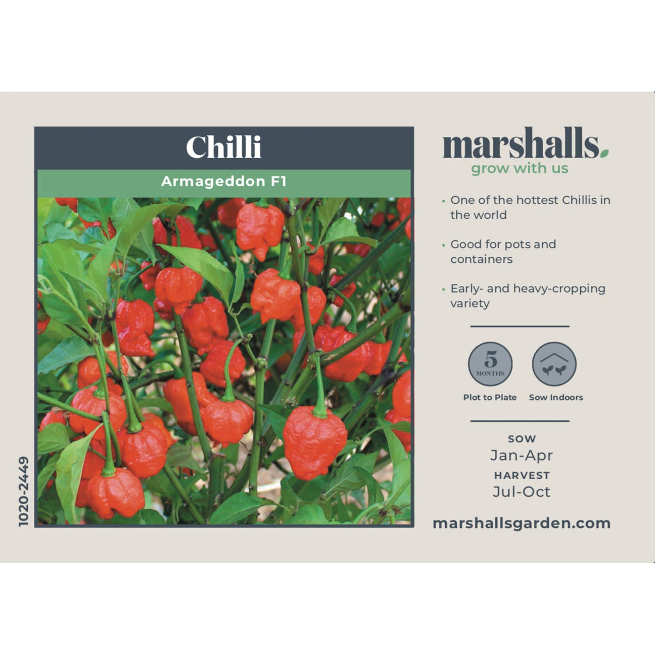 Chilli Pepper Seeds 'Armageddon' | Buy Chilli Pepper Seeds Online ...