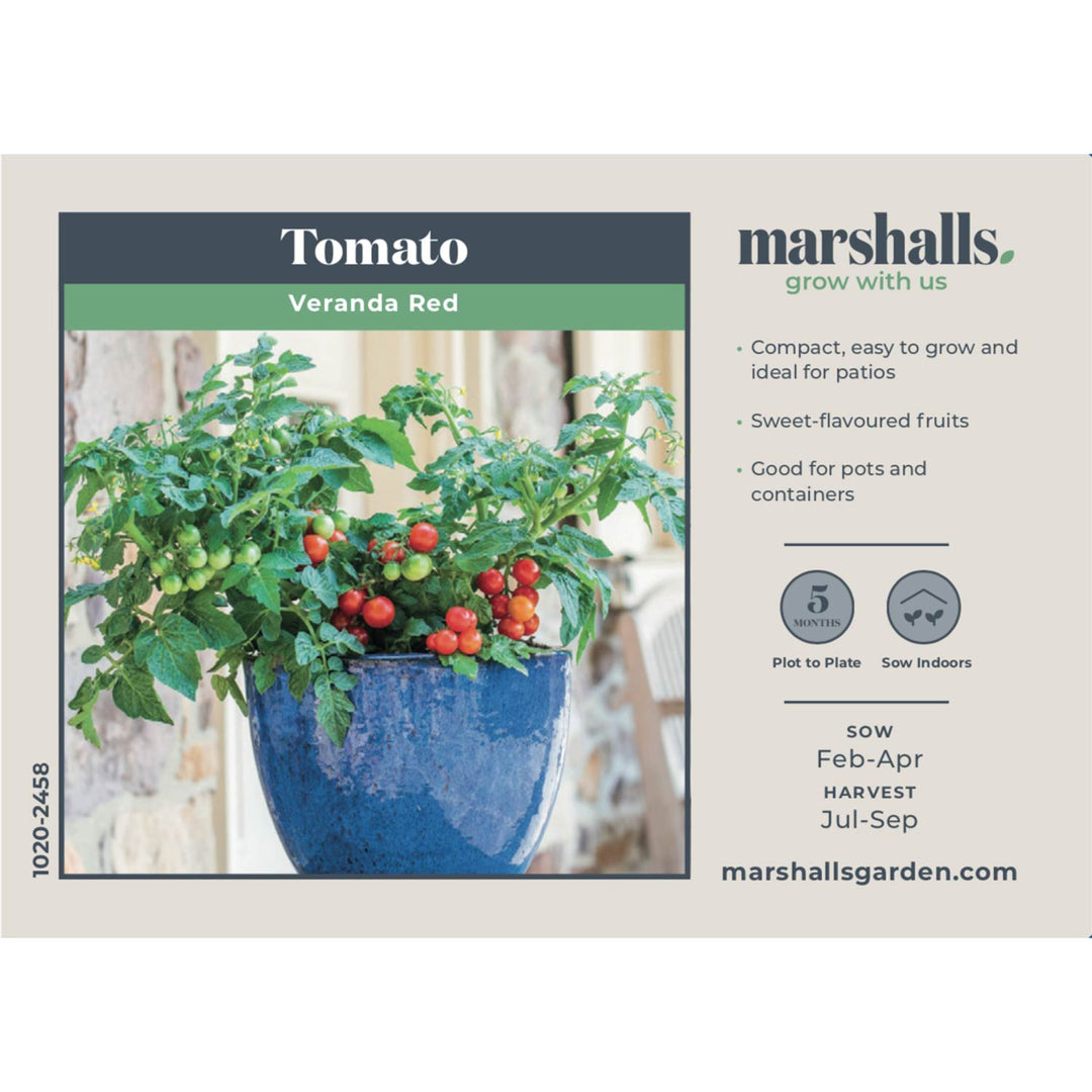 Tomato Seeds 'Veranda Red' | Buy Tomato Seeds Online | Tomato Seeds for ...