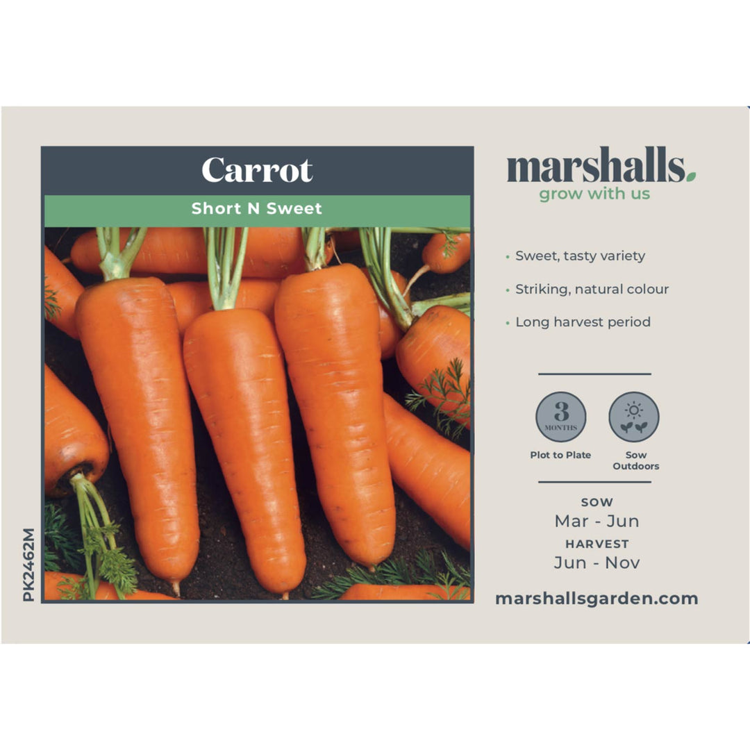 Buy Carrot 'Short n Sweet' Seeds online | Marshalls – Marshalls Garden