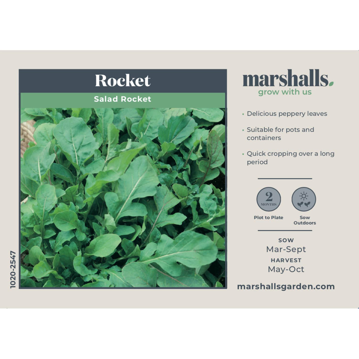 Rocket Seeds | Buy Rocket Seeds Online | Rocket Seeds for Sale ...
