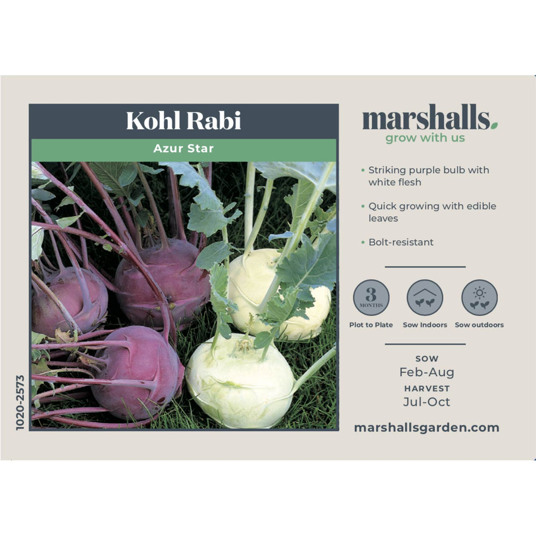 Buy Kohl Rab iAzure Star Seeds Online | marshalls garden – Marshalls Garden
