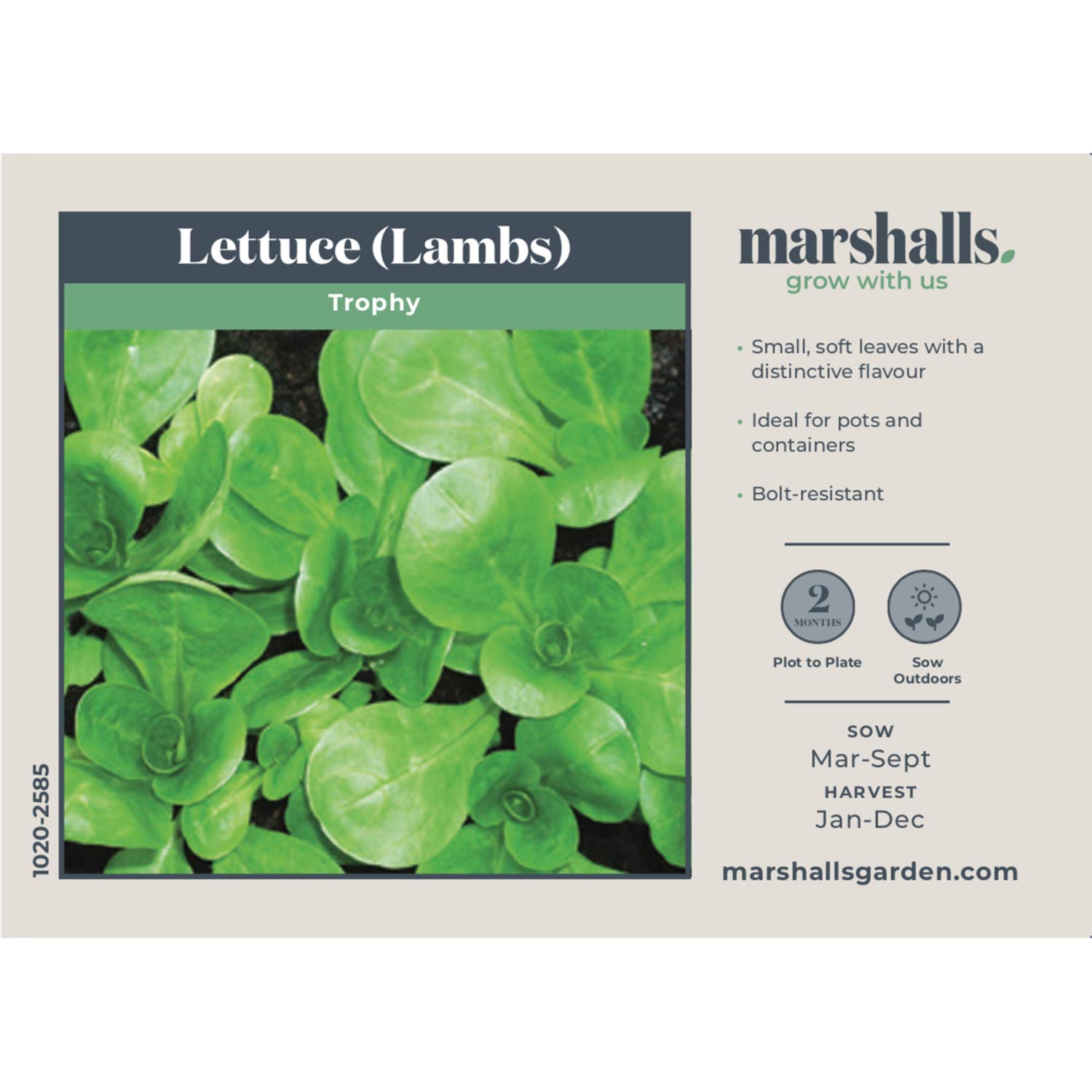 Lettuce Seeds 'Trophy Lambs' | Buy Lettuce Seeds Online | Lettuce Seeds ...