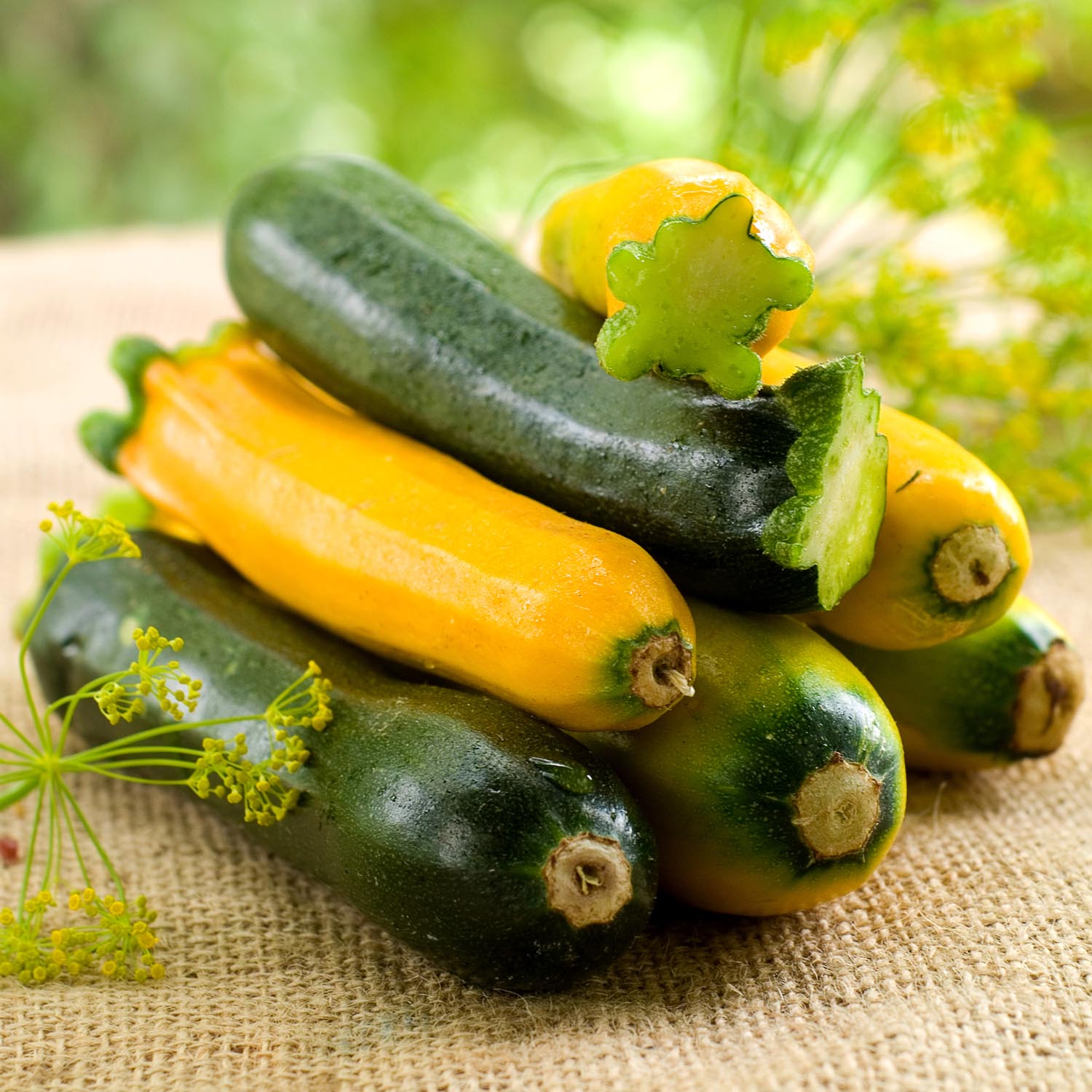 Courgette Seeds 'The Mediterranean' Collection | Buy Courgette Seeds ...