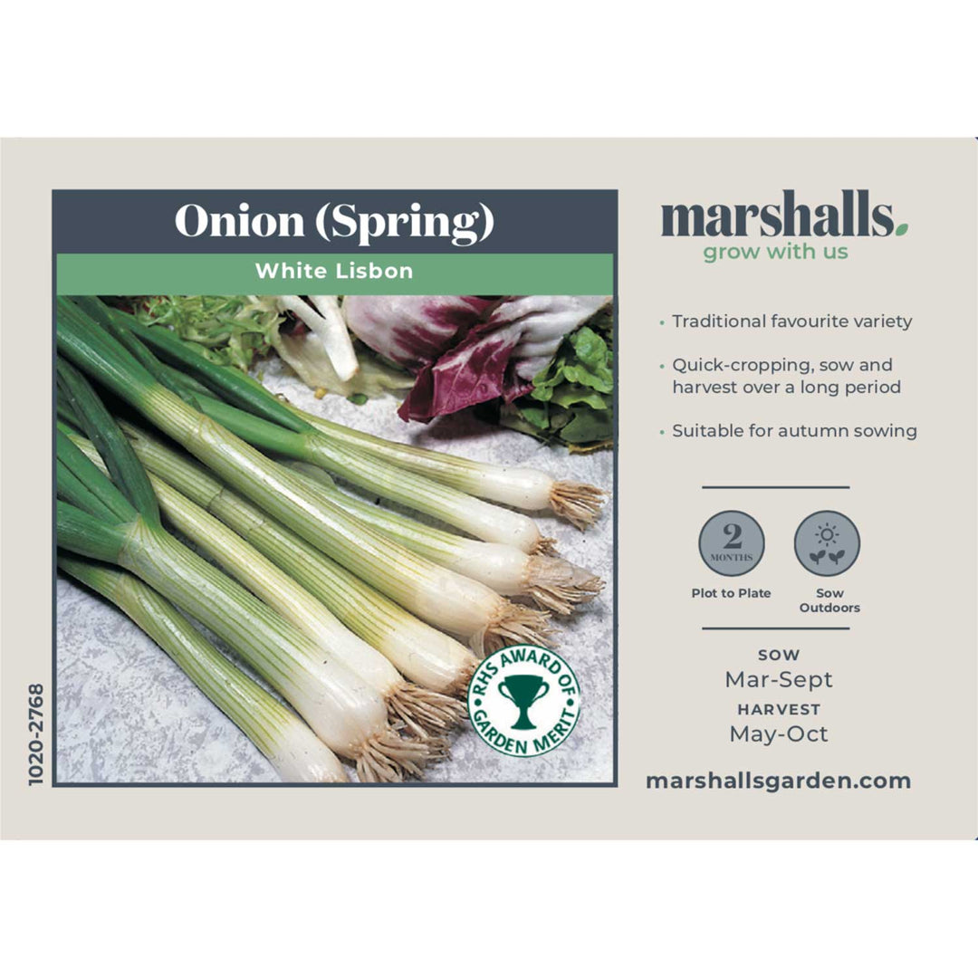 Buy Spring Onion 'White Lisbon' Seeds online | Marshalls – Marshalls Garden