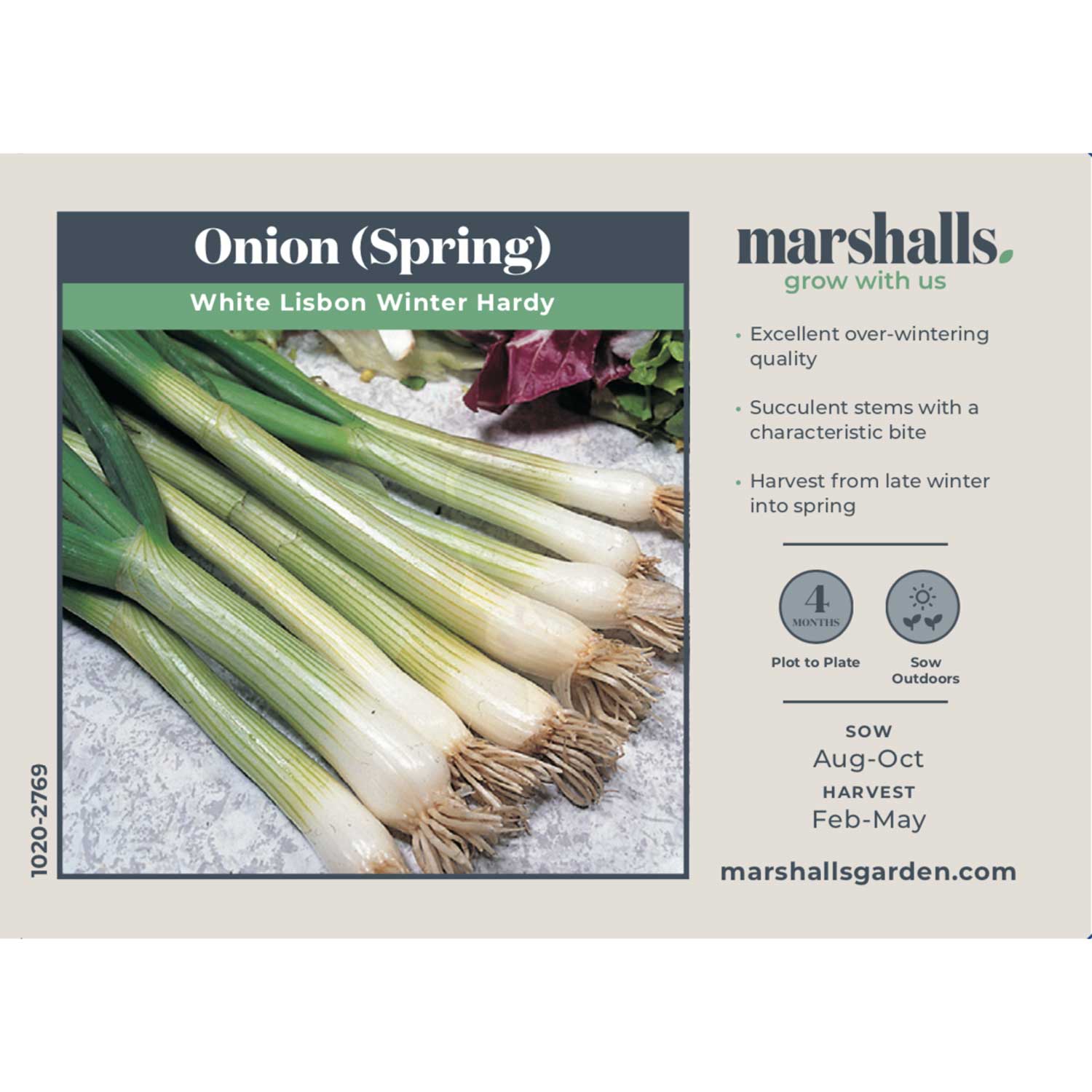 Buy Spring Onion White Lisbon Seeds onlineonline | Marshalls ...