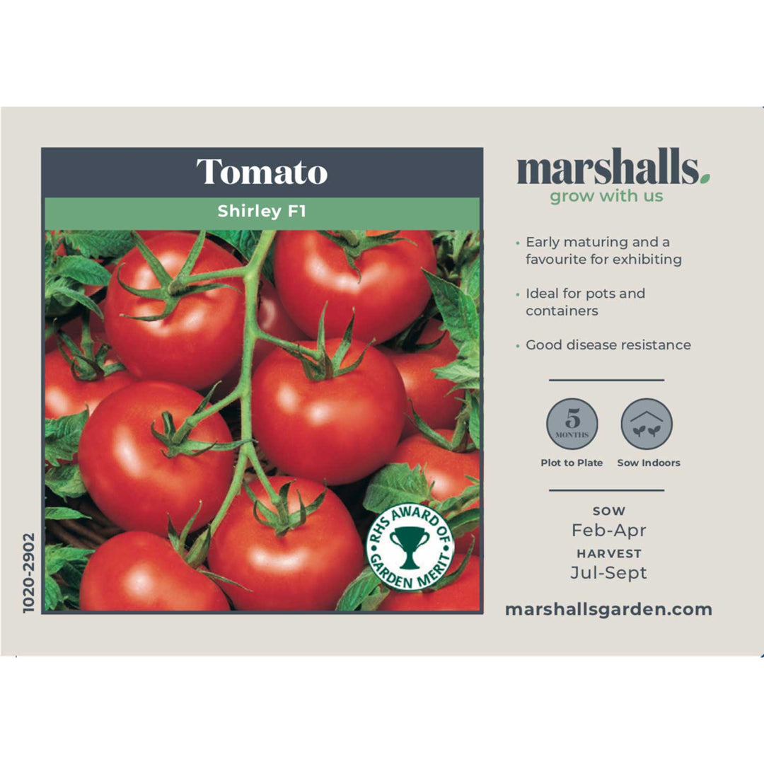 Buy Shirley F1 Hybrid Tomato Seeds online | Marshalls – Marshalls Garden