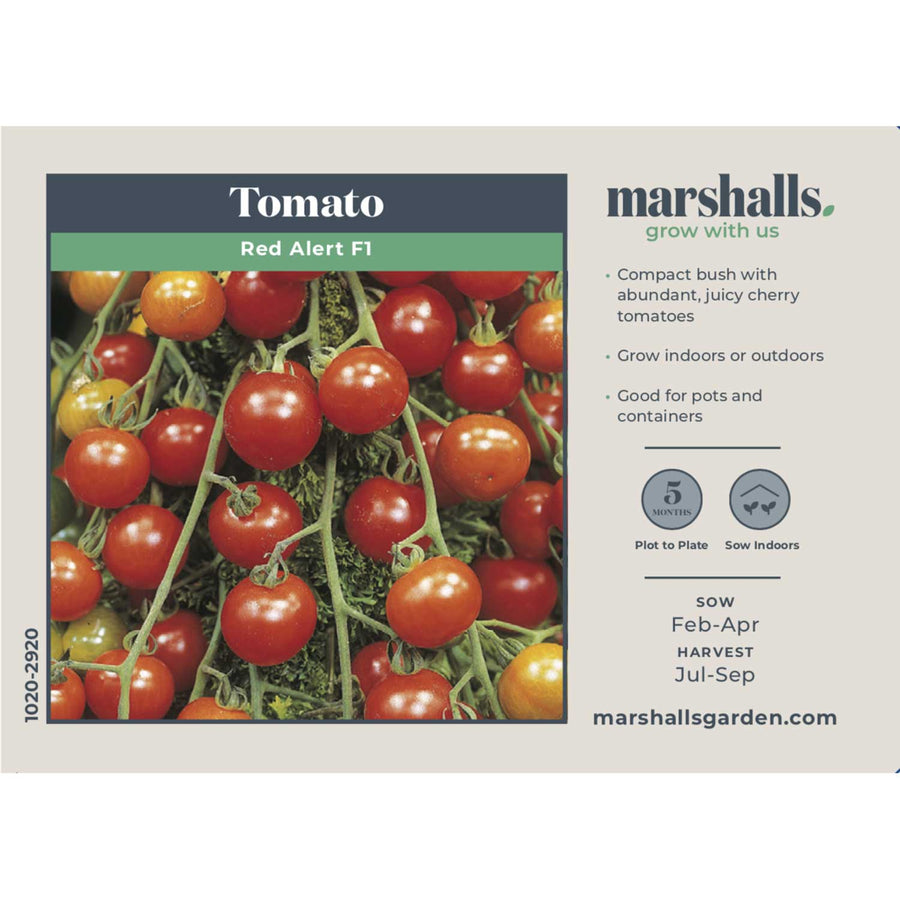 Buy Tomato 'Red Alert' F1 Hybrid Seeds Online | marshalls garden ...