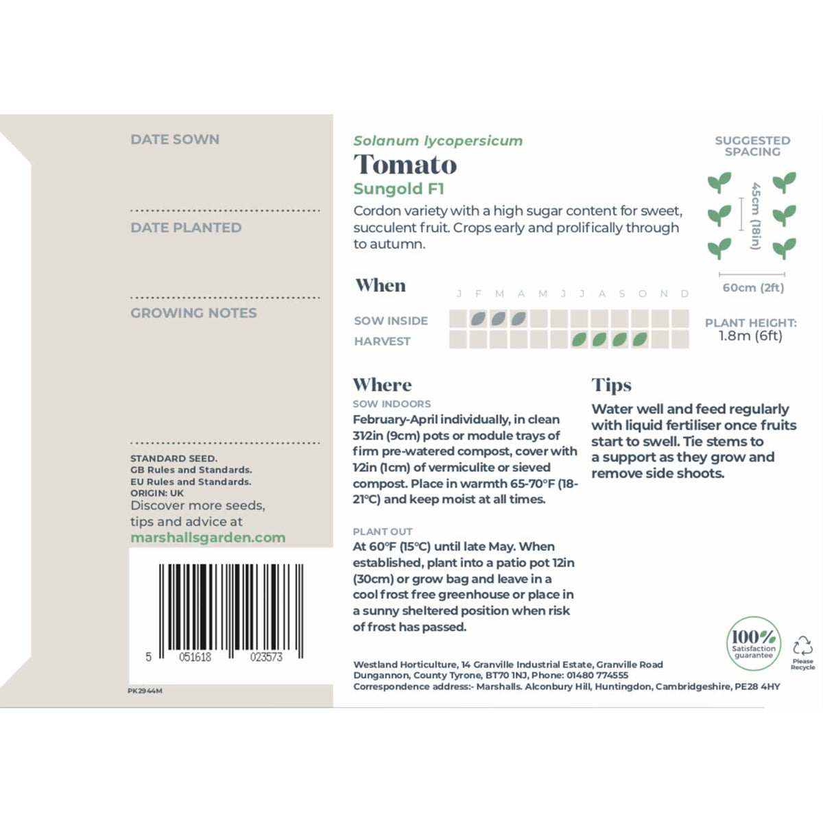 Cordon Tomato Seeds 'Sungold F1' | Buy Cordon Tomato Seeds Online ...