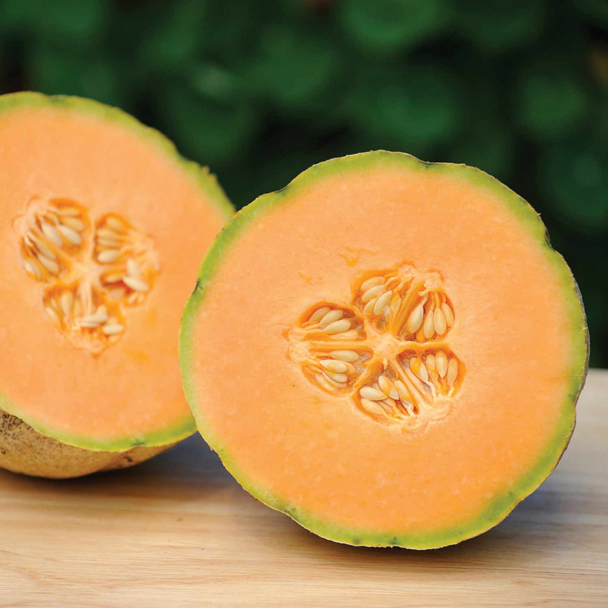 Melon Honey Bun - 3 x Super Plugs | Buy Melon Plants Online | Marshalls ...