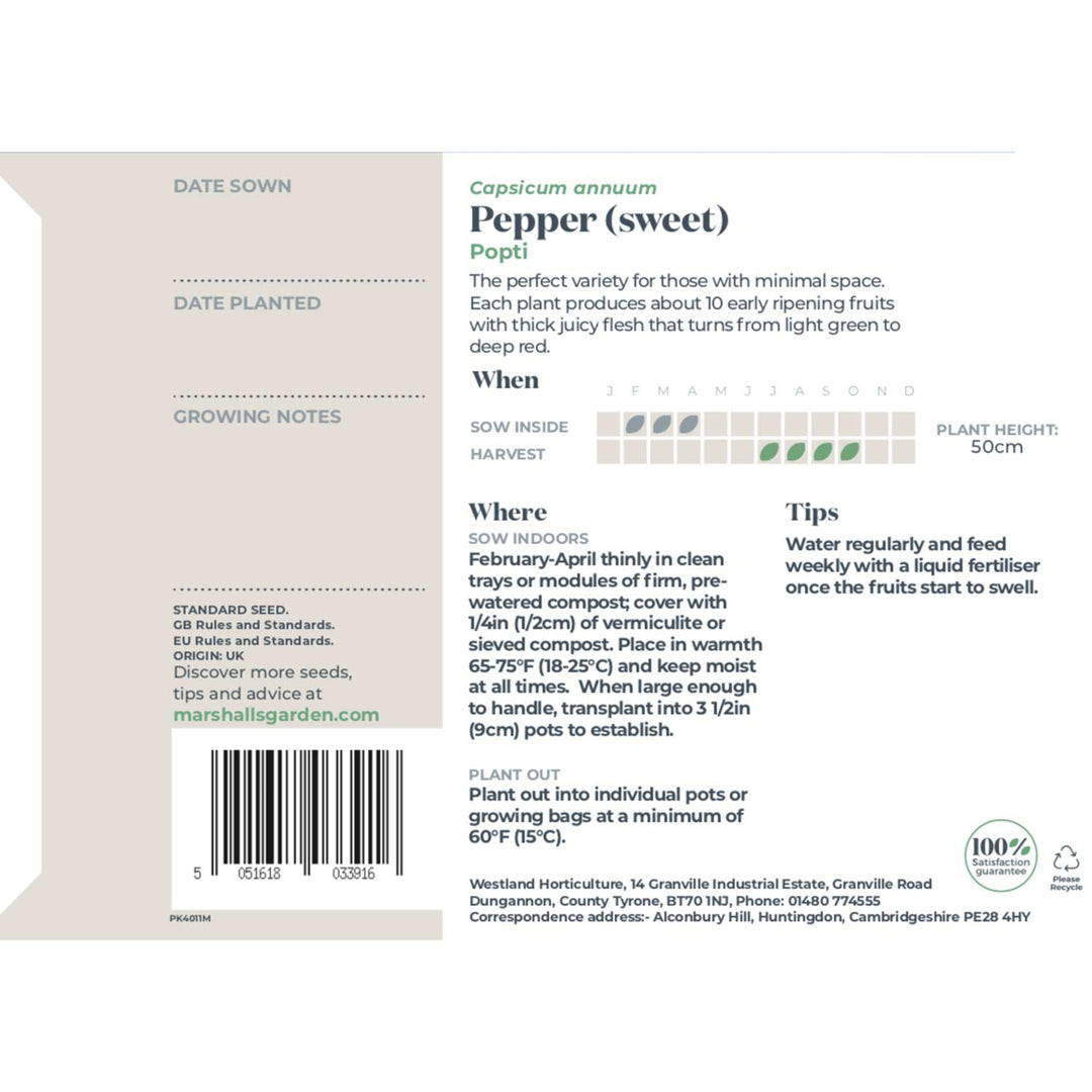 Sweet Pepper Seeds 'Popti' | Buy Sweet Pepper Seeds Online | Sweet ...