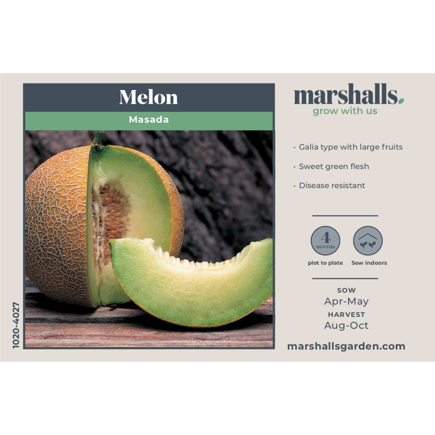 Melon Seeds 'Masada' | Buy Melon Seeds Online | Melon Seeds for Sale ...