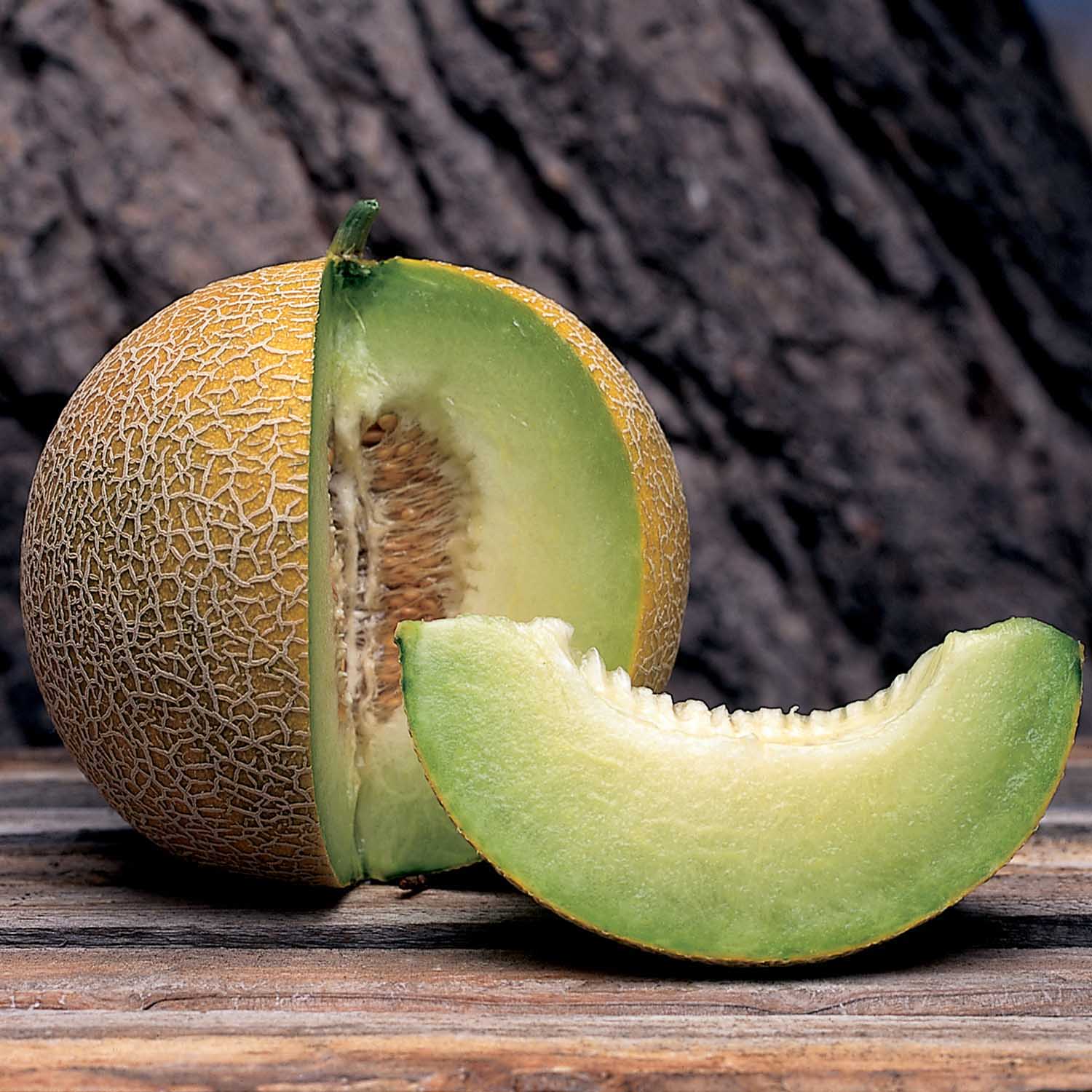 Melon Seeds 'Masada' | Buy Melon Seeds Online | Melon Seeds for Sale ...